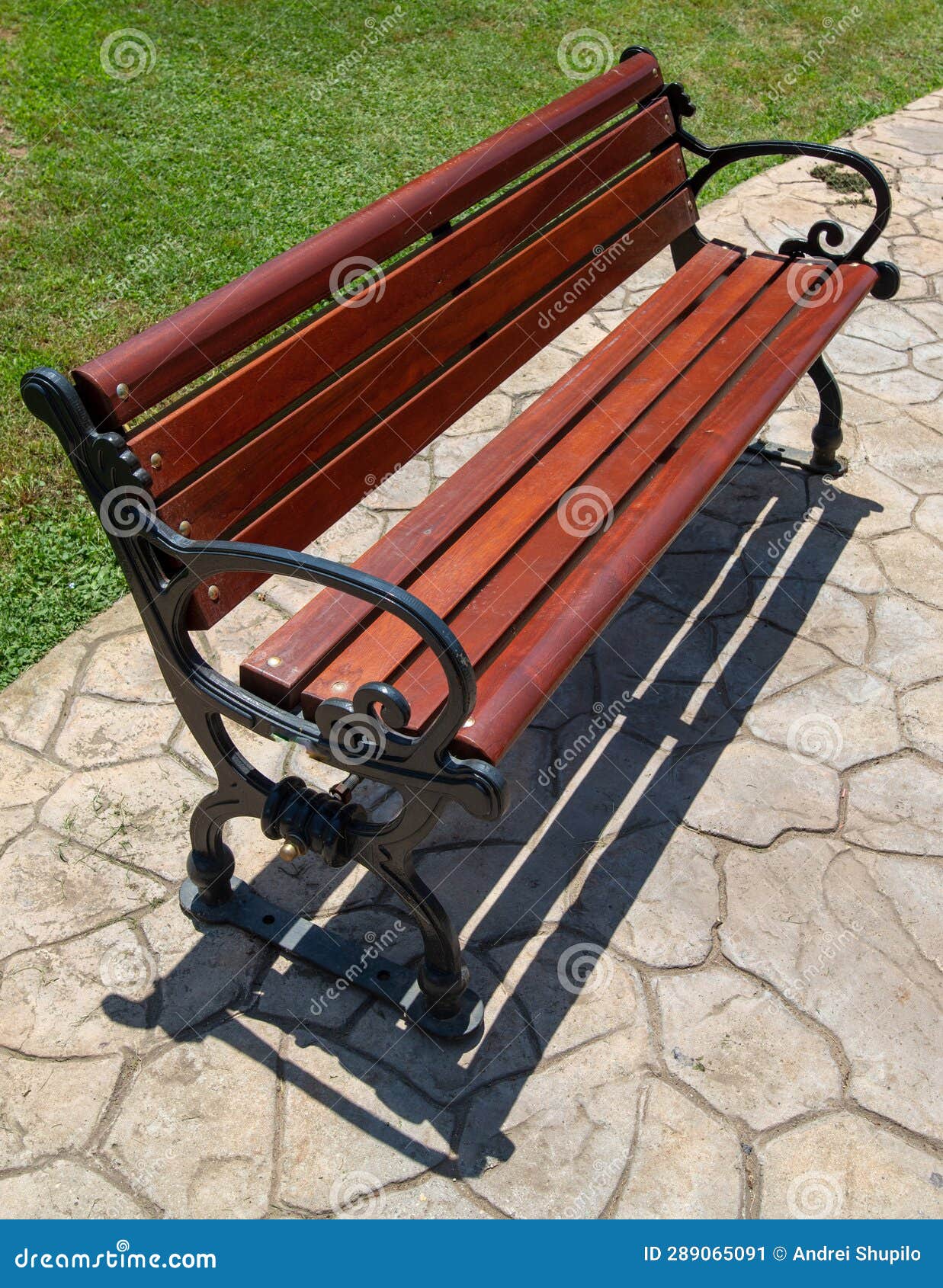 Wooden Bench in the Park in Nature Stock Image - Image of outdoors ...