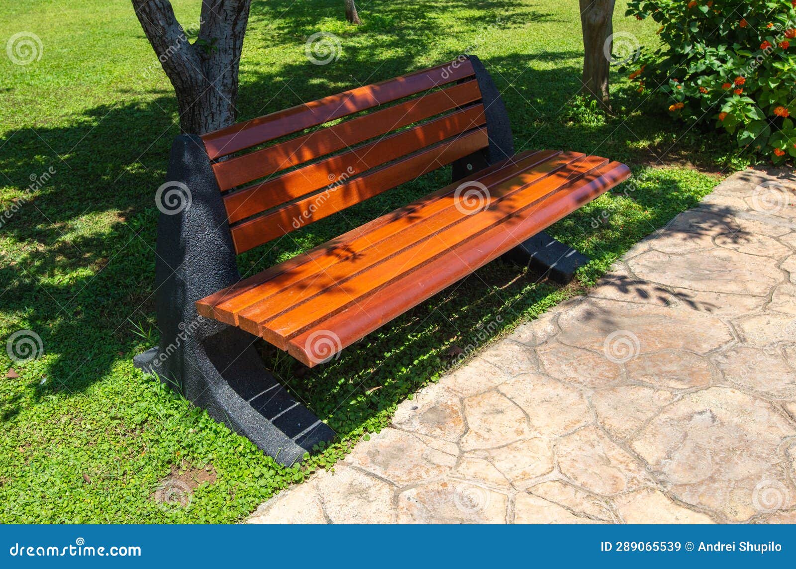 Wooden Bench in the Park in Nature Stock Image - Image of public ...
