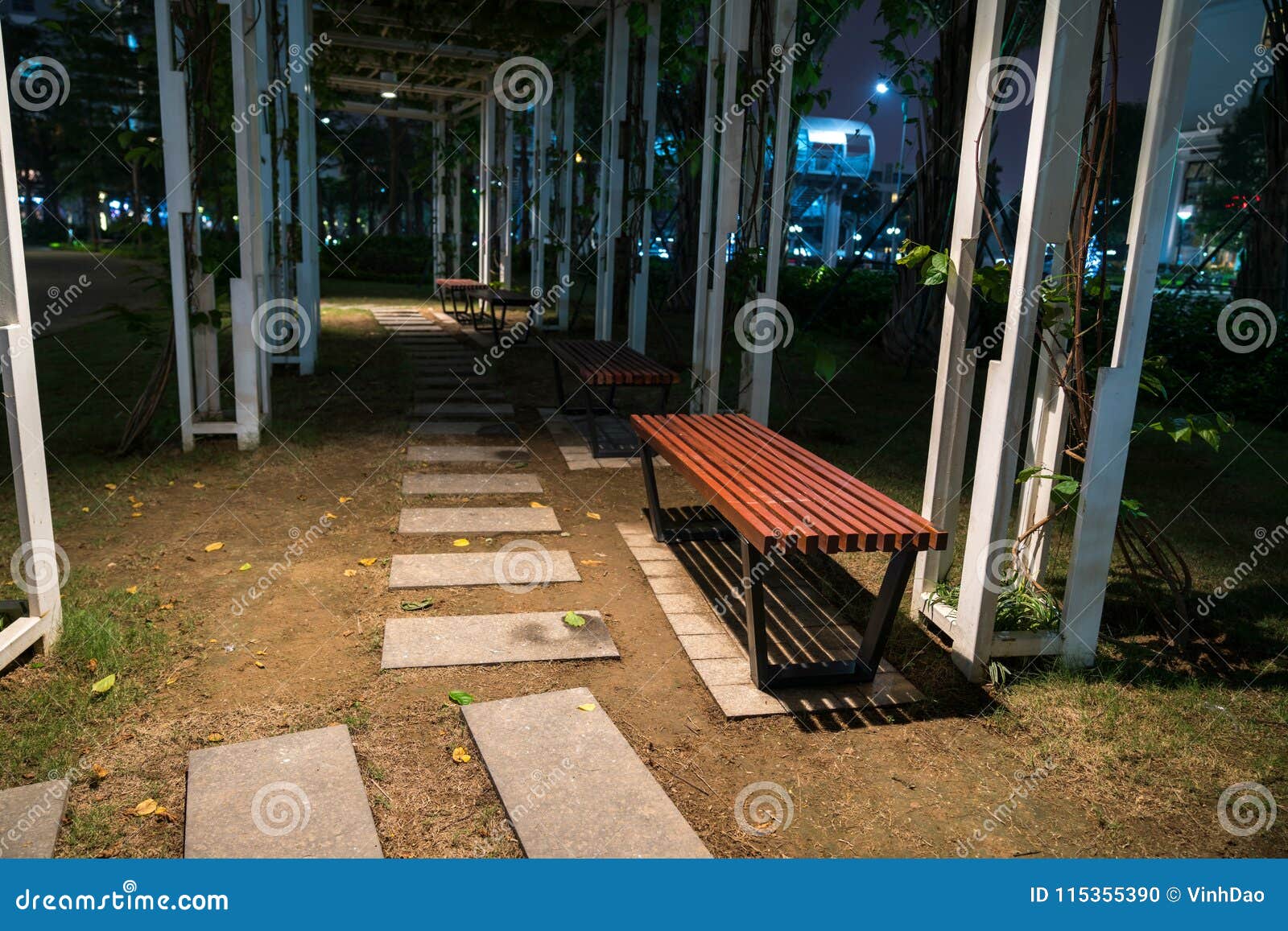Wooden Bench in the Park at Night Stock Photo - Image of green, night ...