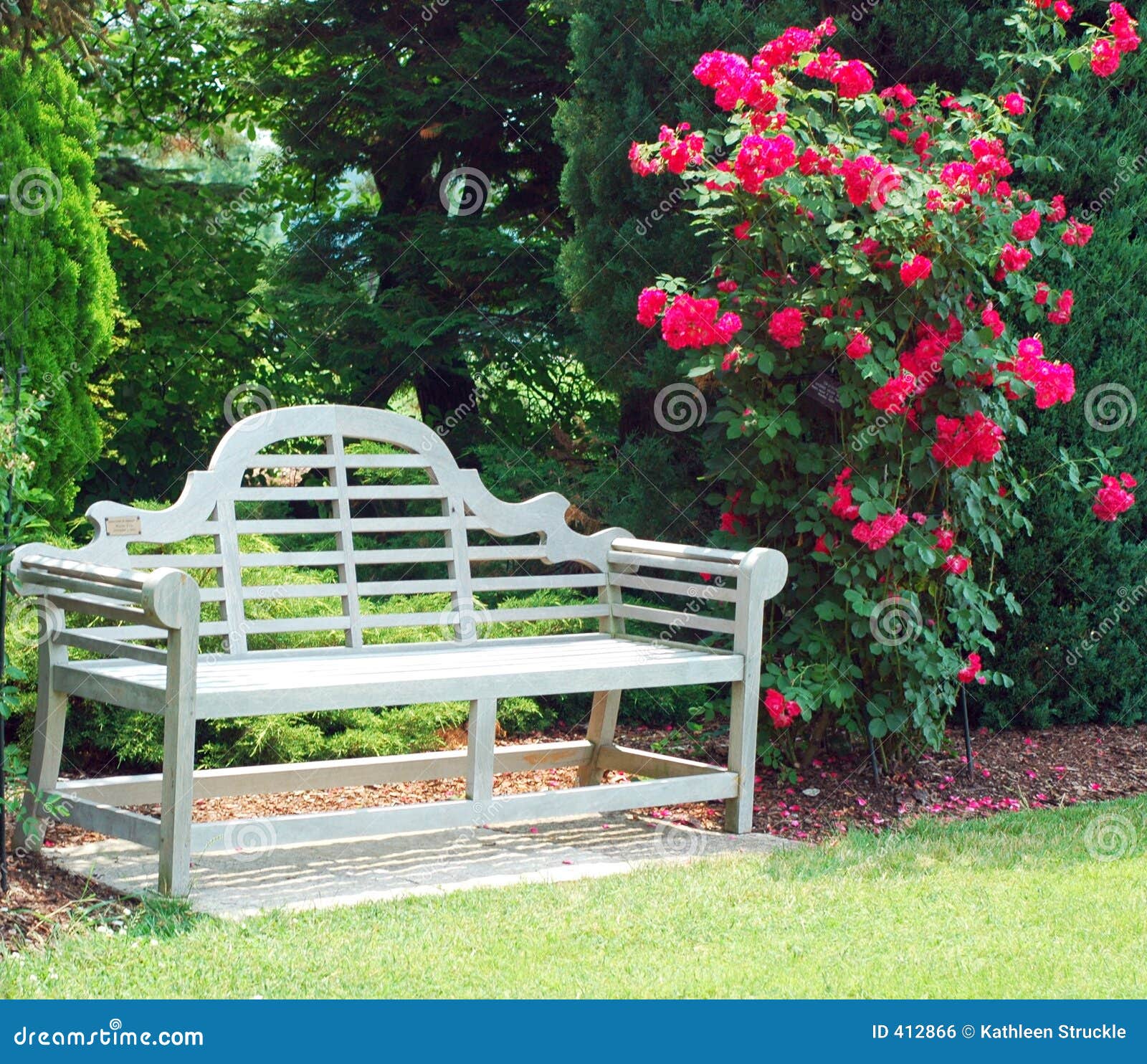 Wooden Bench and Red Roses stock photo. Image of pretty - 412866