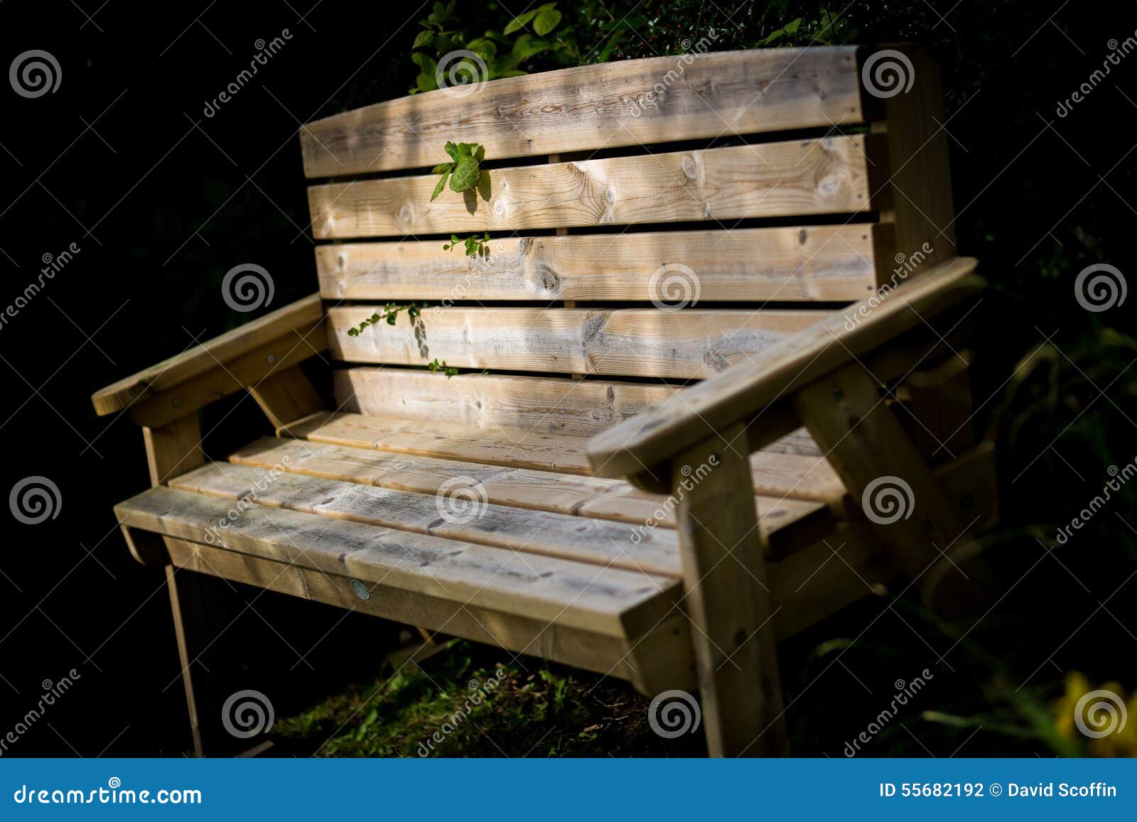 Wooden Bench in the shade stock photo. Image of seat - 55682192