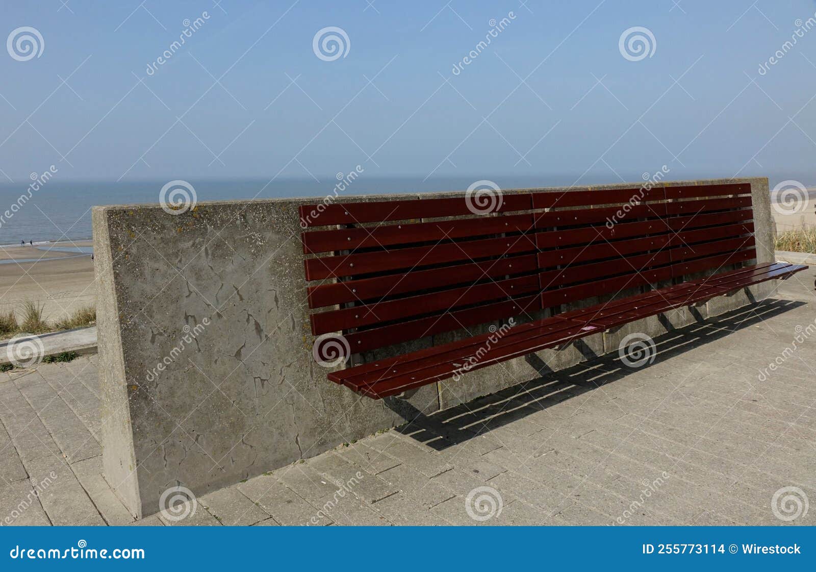 Wooden bench at the shore stock photo. Image of background - 255773114