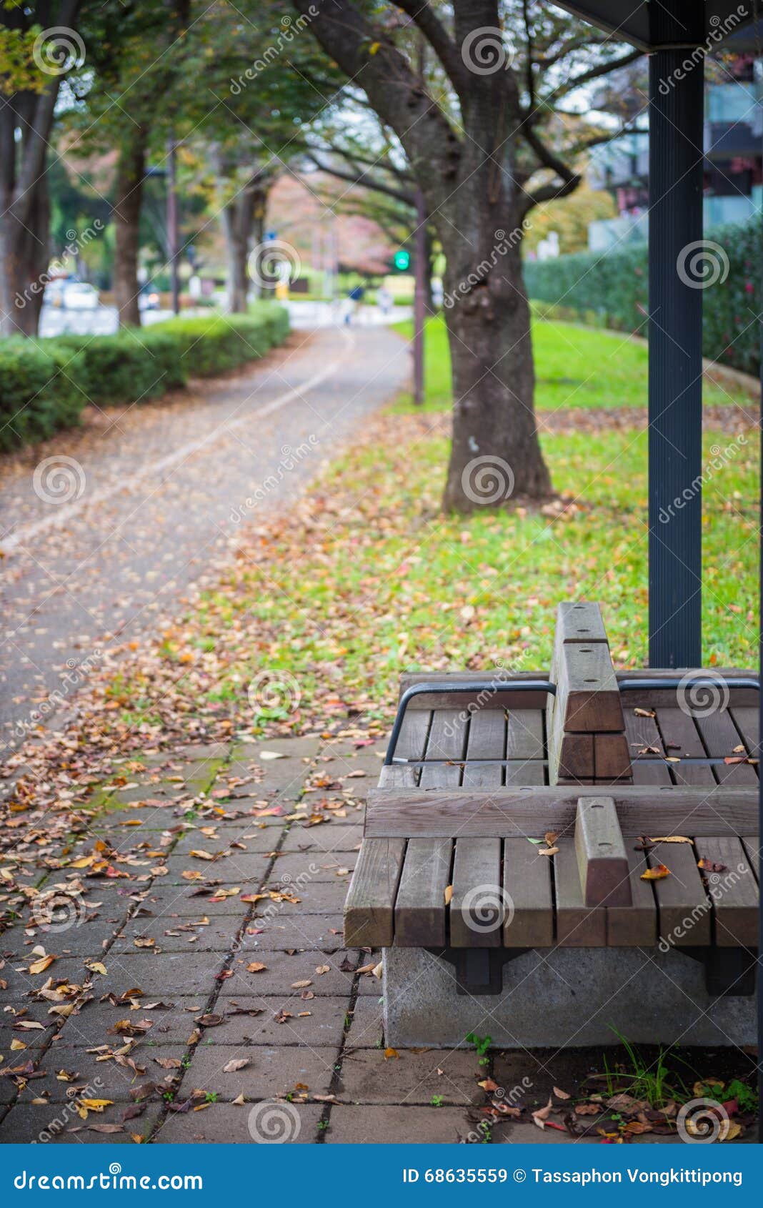 Wooden Bench at the Sidewalk Park Forest in Autumn Stock Image - Image ...