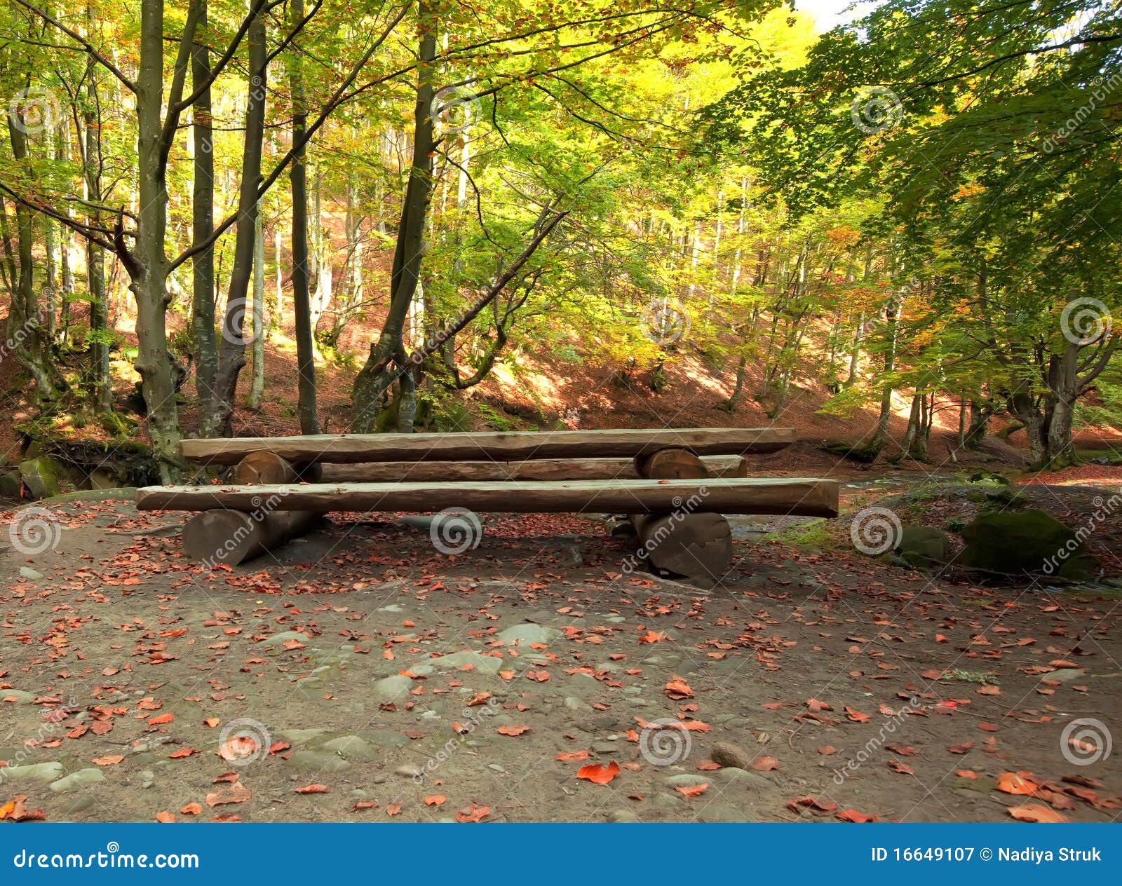 Wooden Bench and Table for Picnic in Autumn Forest Stock Image - Image ...