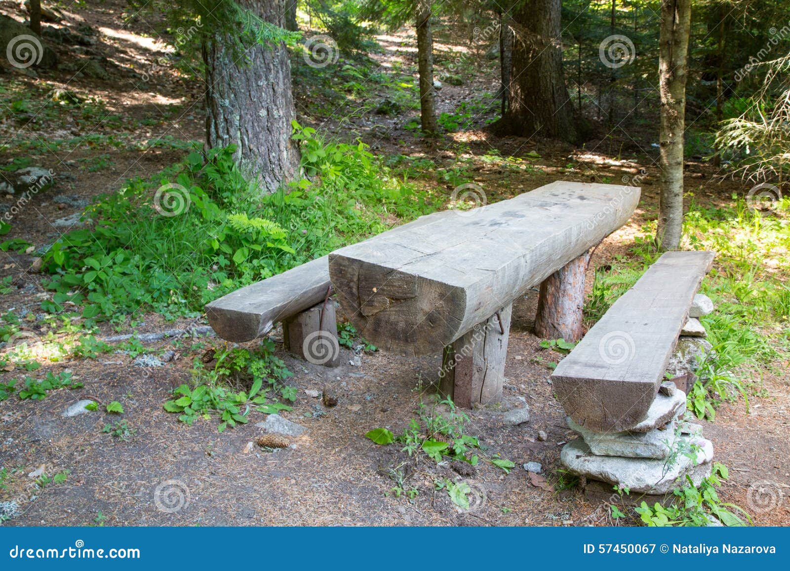 Wooden Bench and Table for Picnic in the Forest Stock Image - Image of ...