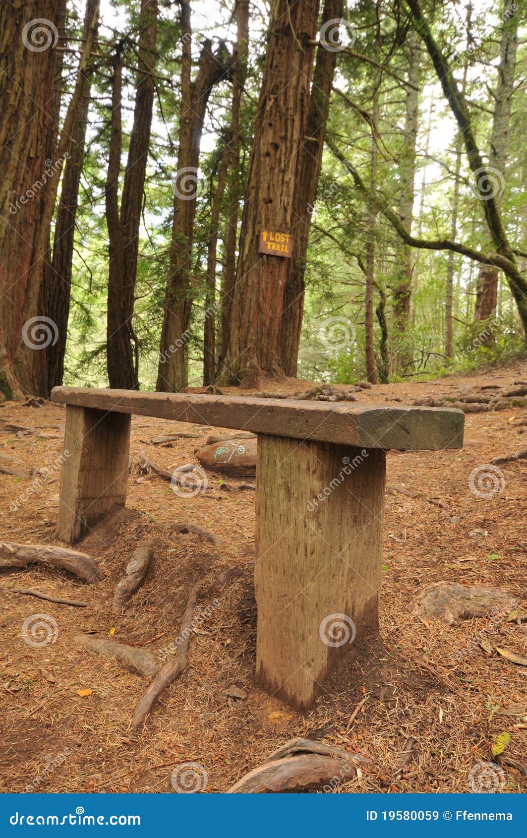 Wooden Bench On A Trail In The Woods Stock Image - Image of color, path ...