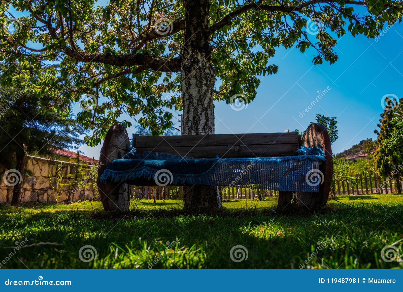 The Wooden Bench Under the Tree Stock Image - Image of grass, garden ...