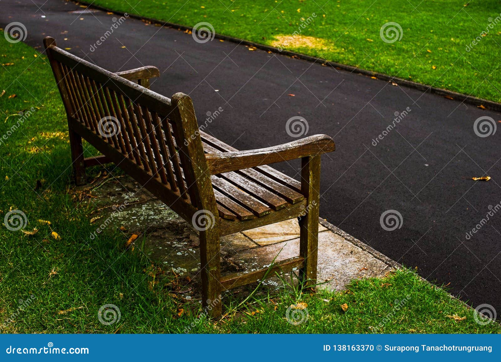 Wooden Bench Under the Tree in the Garden Background. Stock Photo ...