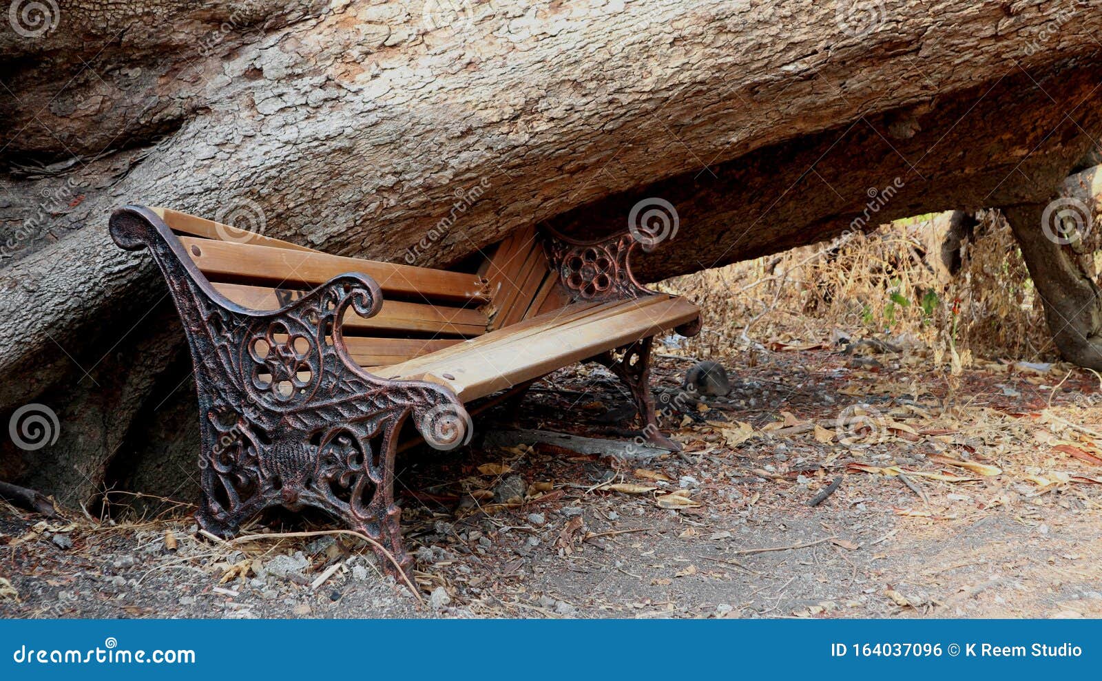 The Wooden Bench Was Crushed by a Fallen Tree Stock Photo - Image of ...