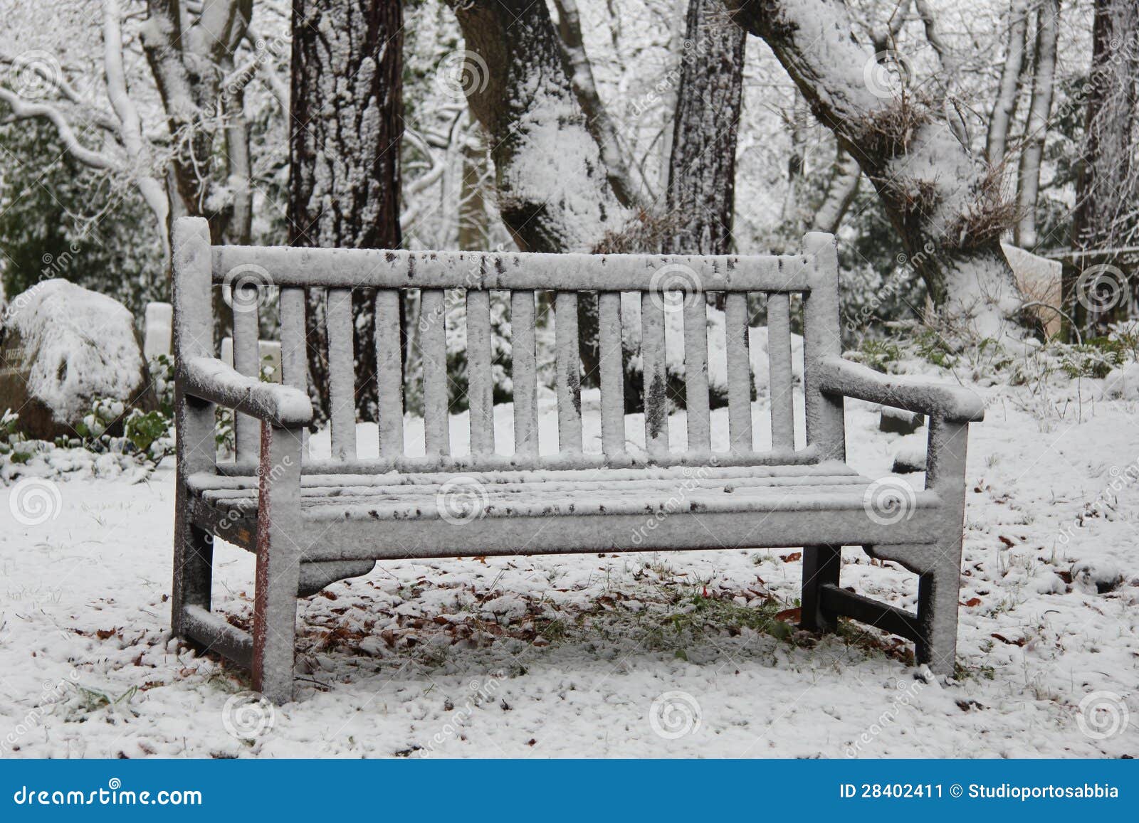 Wooden Bench in a Winter Forest Stock Image - Image of frost, christmas ...
