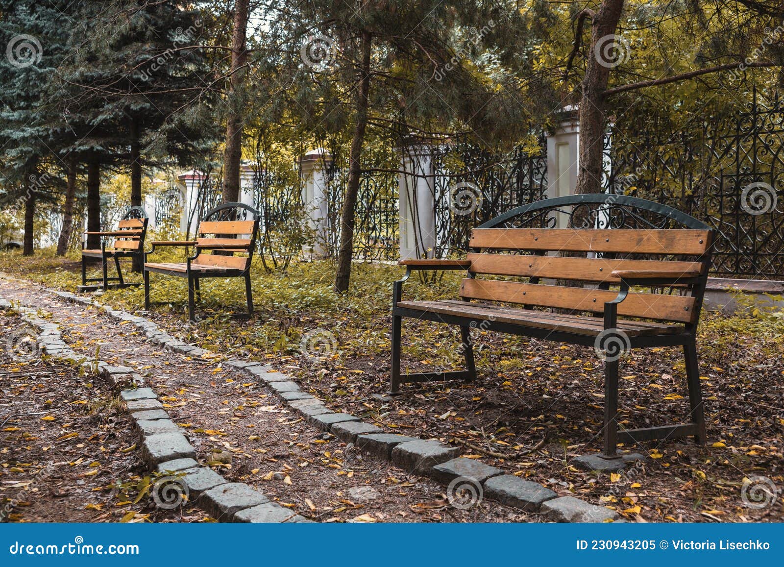 Wooden Benches Along a Path in an Autumn Park Stock Image - Image of ...