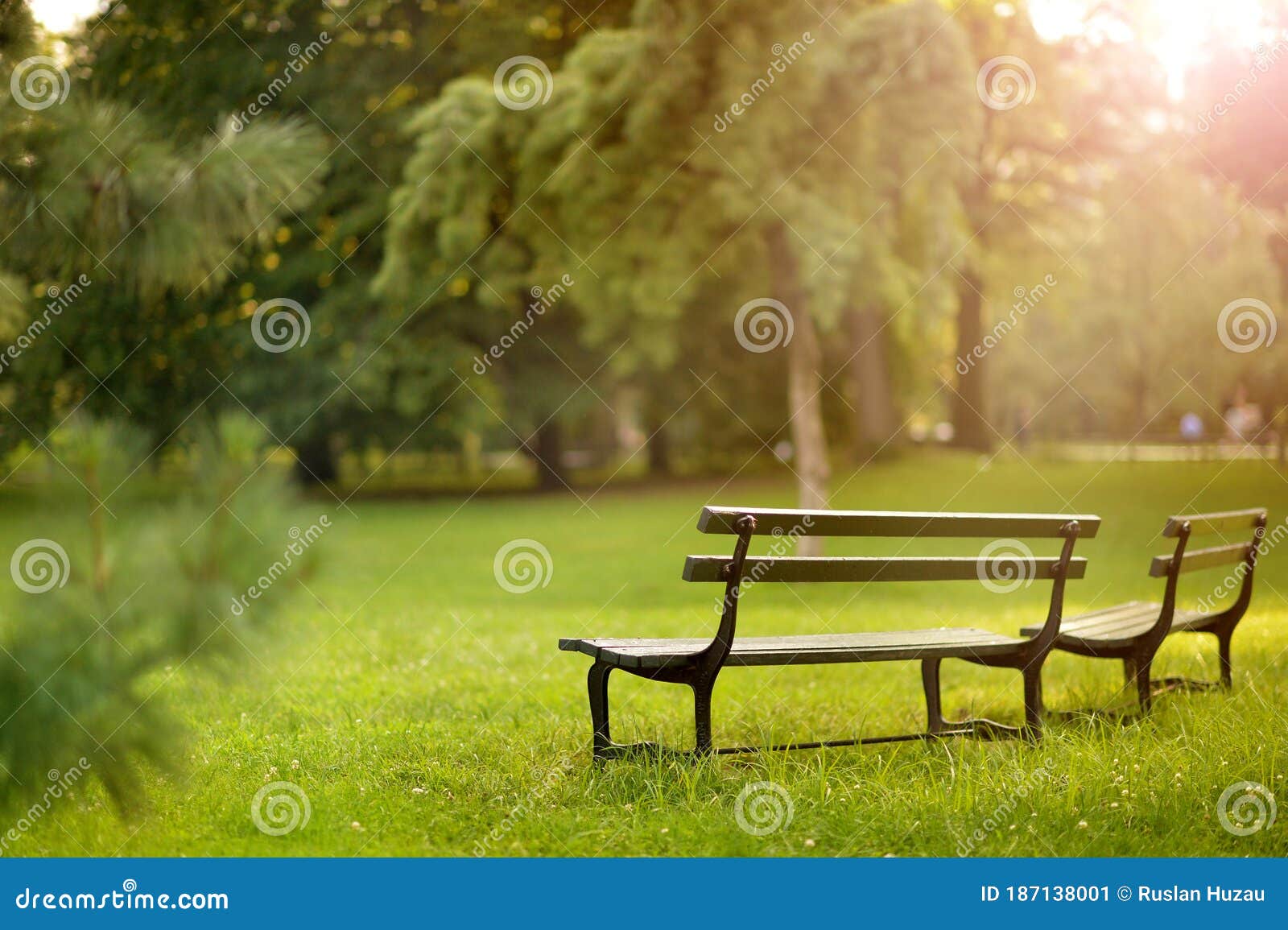 Wooden Benches in Beautiful Park, in Summer Stock Image - Image of ...