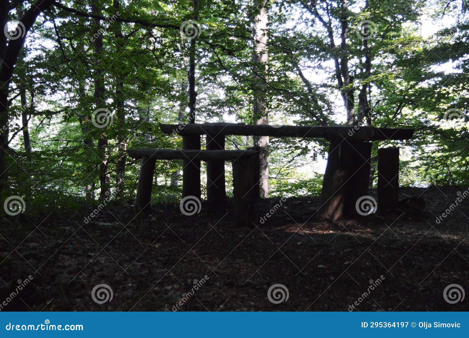 Wooden Benches and a Table in the Forest Stock Image - Image of branch ...