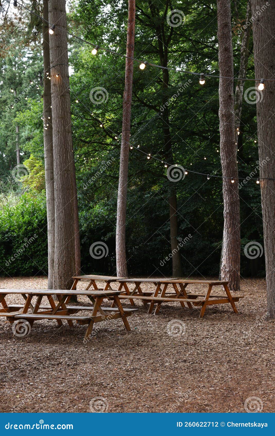 Wooden Benches and Tables in Forest. Recreation Area Stock Photo ...