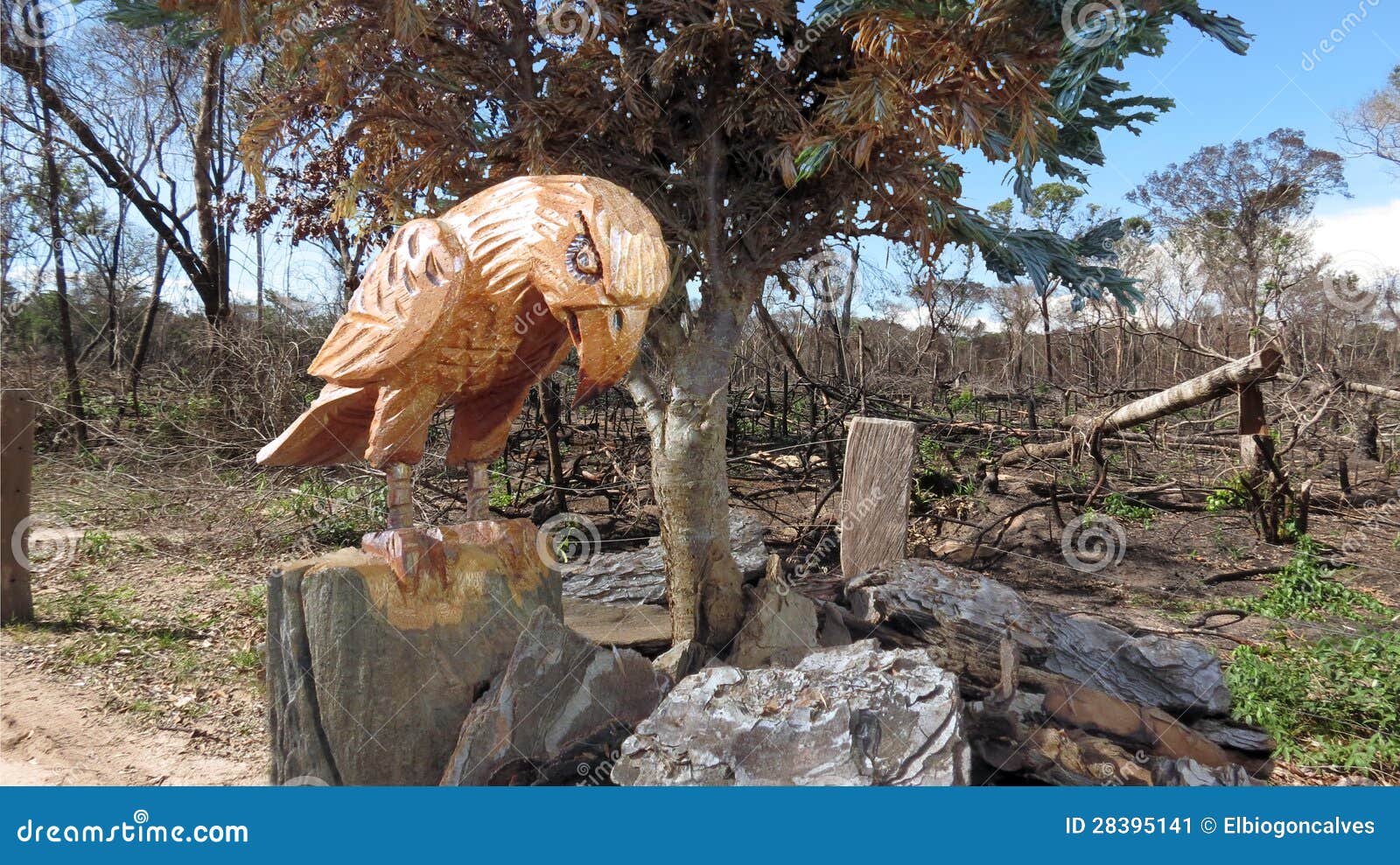 Wooden Bird deforestation stock image. Image of agriculture - 28395141