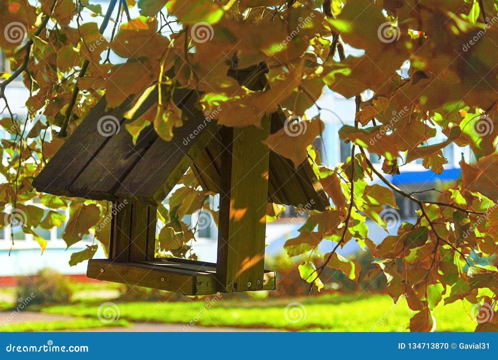 Wooden Bird Feeder among the Yellow Fall Foliage. Stock Photo - Image ...