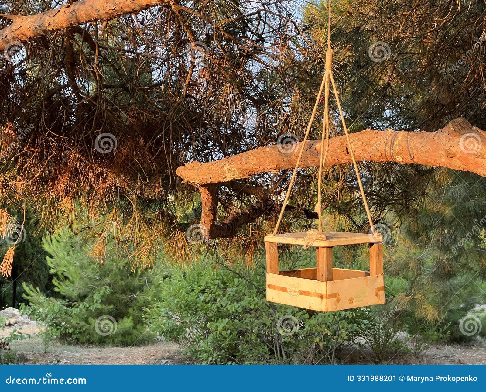 Wooden Bird Feeder Hanging on a Conifer in the Sunset Stock Image ...