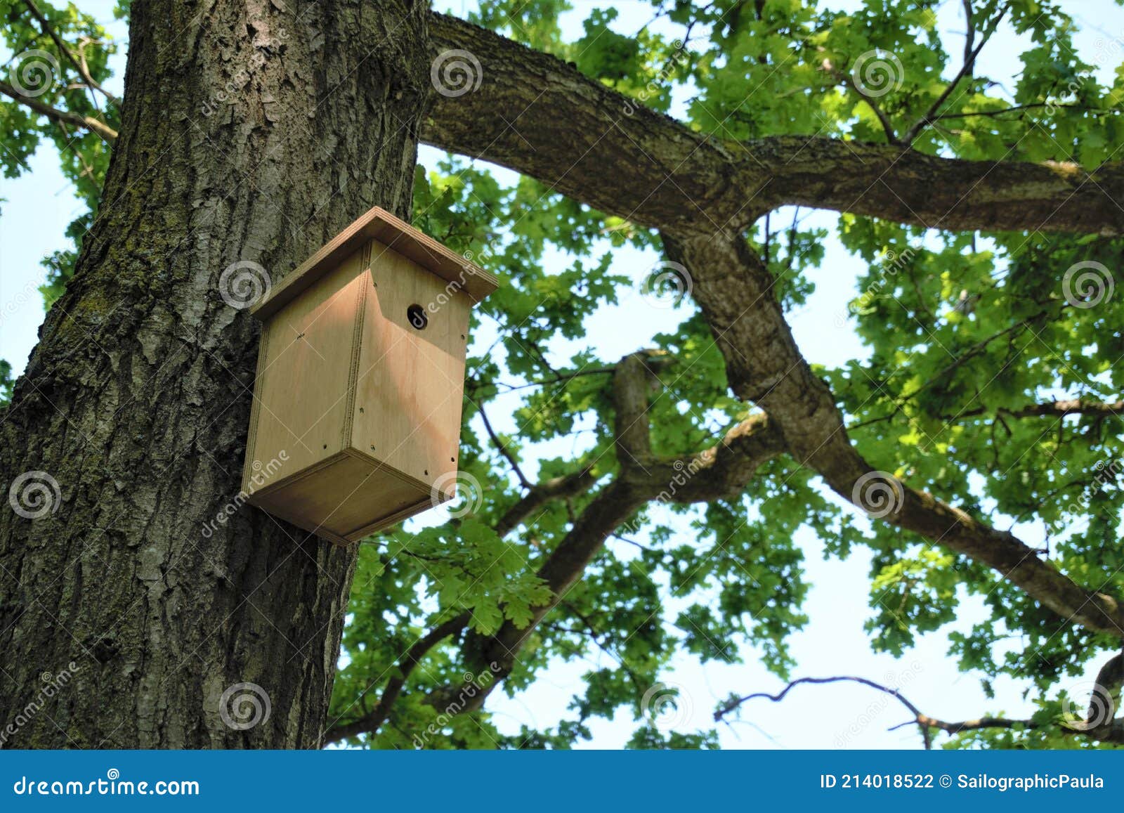 Wooden Bird House in a Tree. Editorial Photography - Image of wild ...