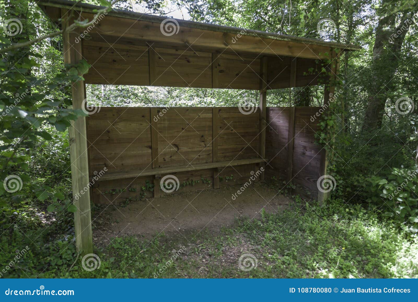 Wooden Bird Watching Structure in Forest. Stock Photo - Image of ...