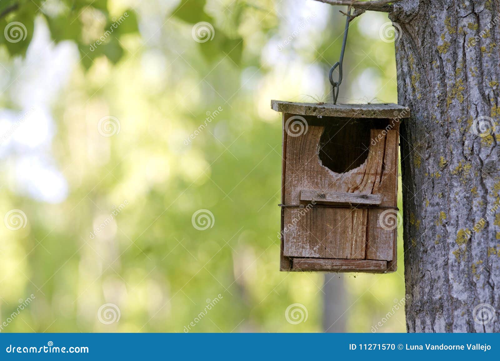 A Wooden Birdhouse, Built With Your Own Hands And Painted With Colored ...