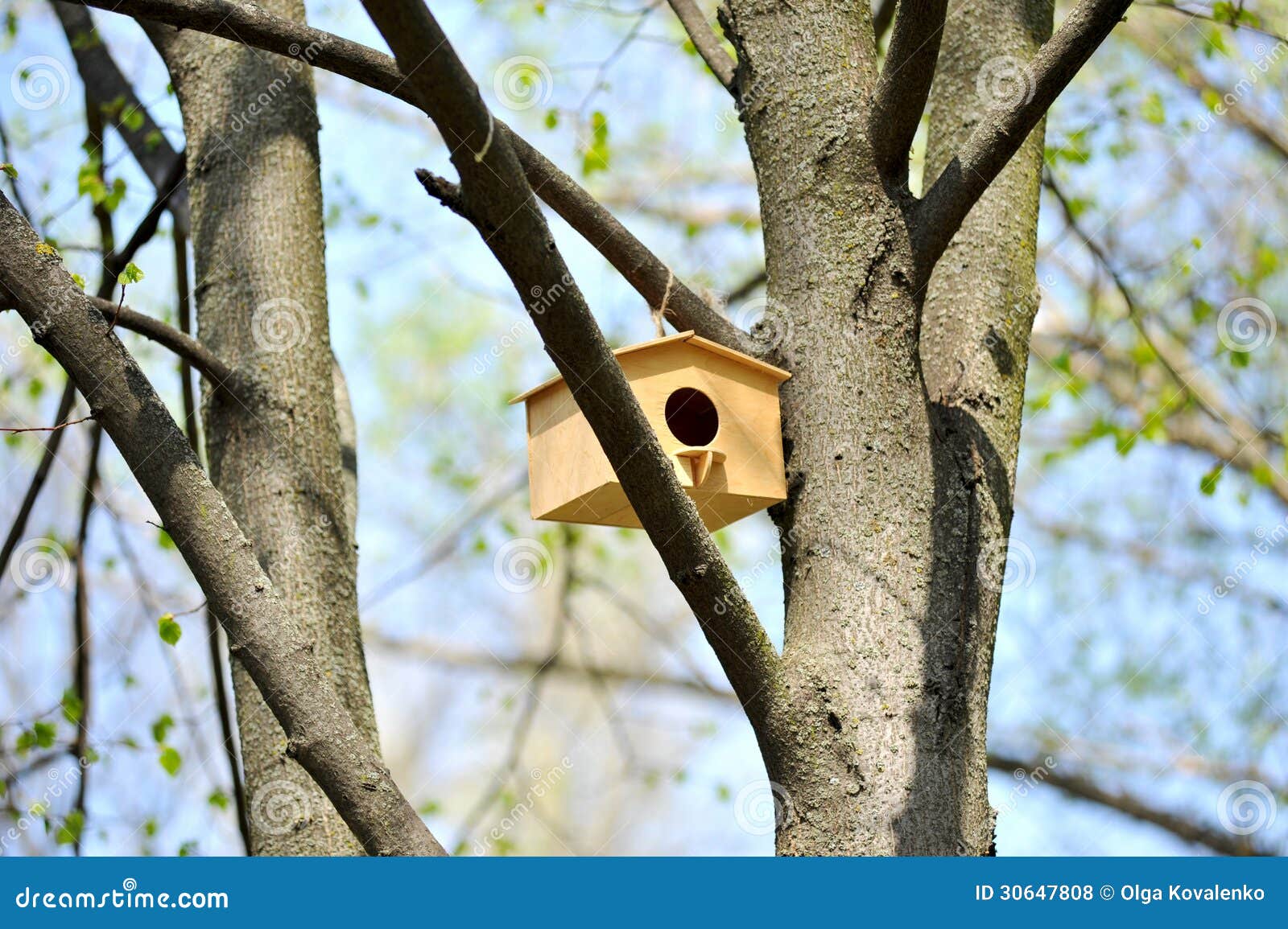 Wooden birdhouse stock photo. Image of branch, environment - 30647808