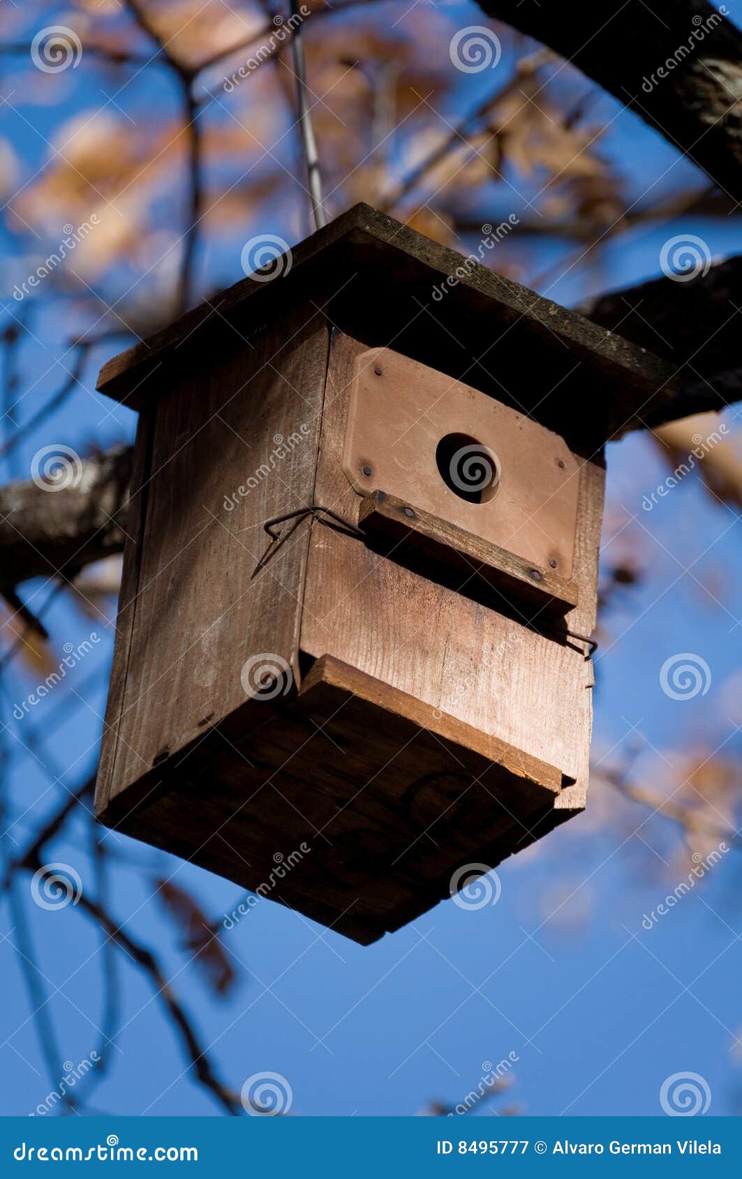 Wooden Birdhouse on a Tree. Stock Image - Image of wildlife, rustic ...