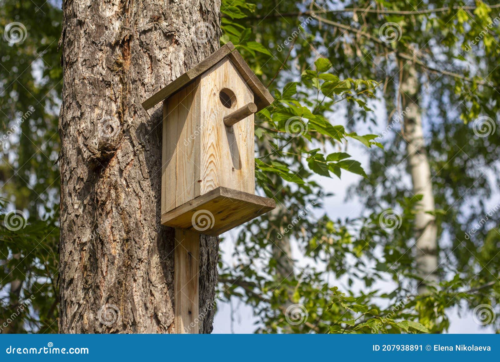 Wooden Birdhouse on a Tree in the Park Stock Image - Image of simple ...