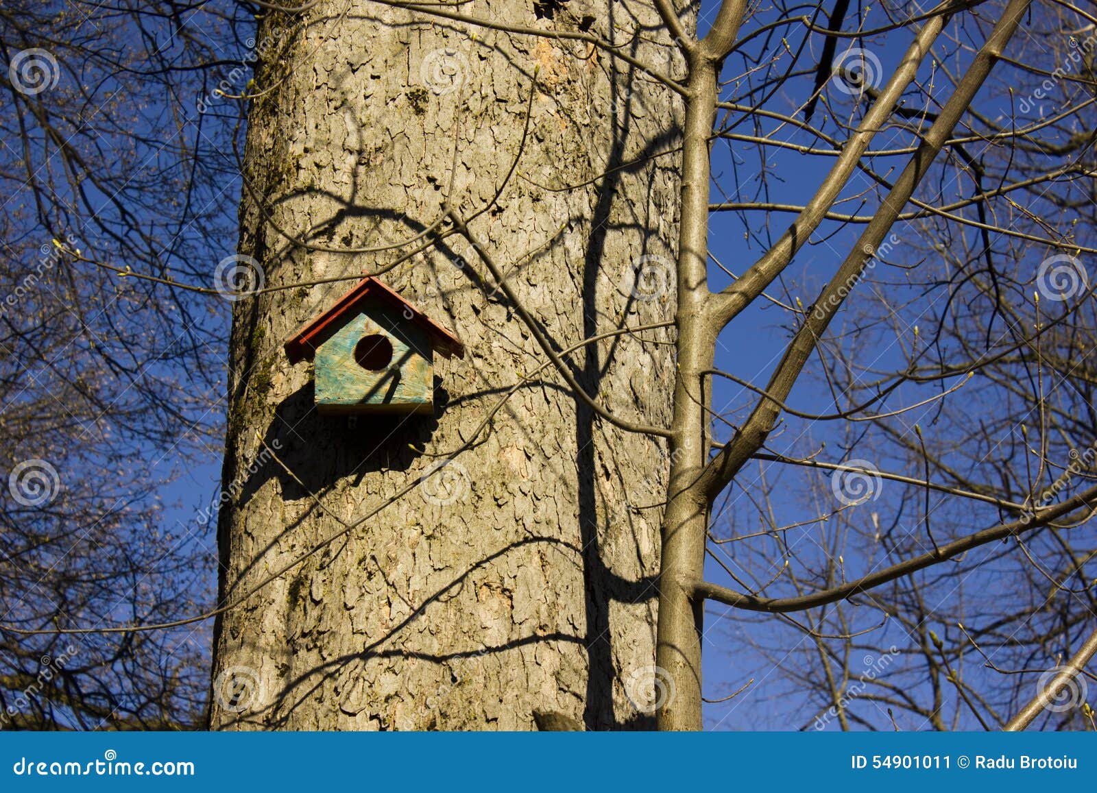 Wooden birds house stock image. Image of nature, clear - 54901011
