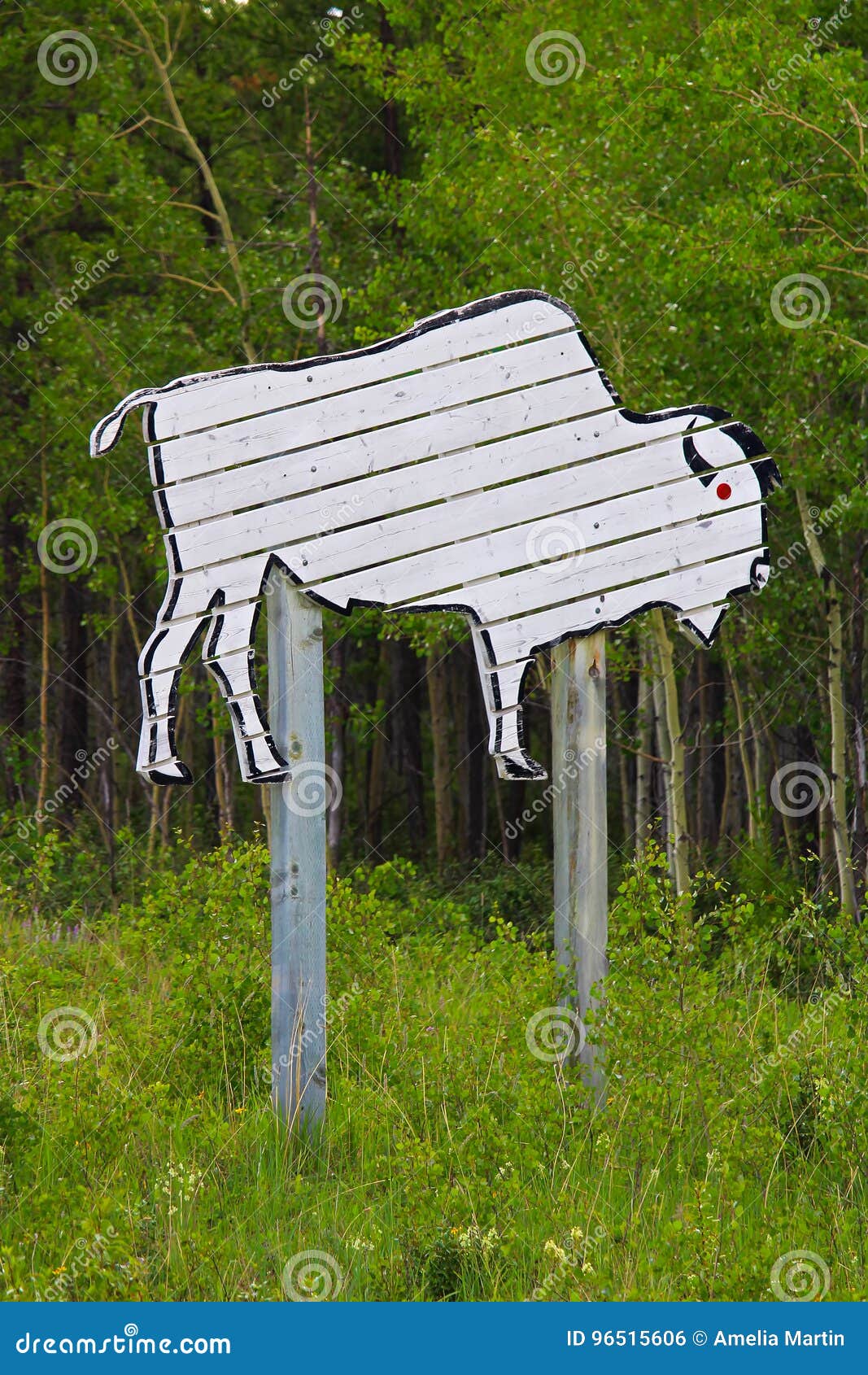 A Wooden Bison Warning Sign Along the Highway Stock Photo - Image of ...