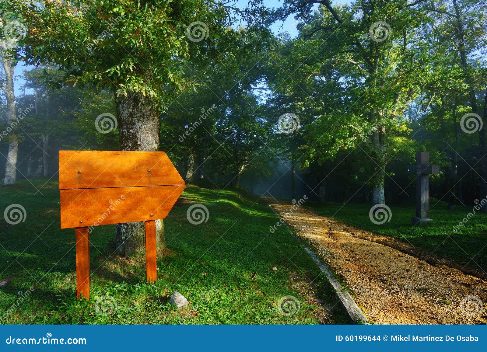 Wooden Blank Board on Forest Entrance Stock Photo - Image of trees ...