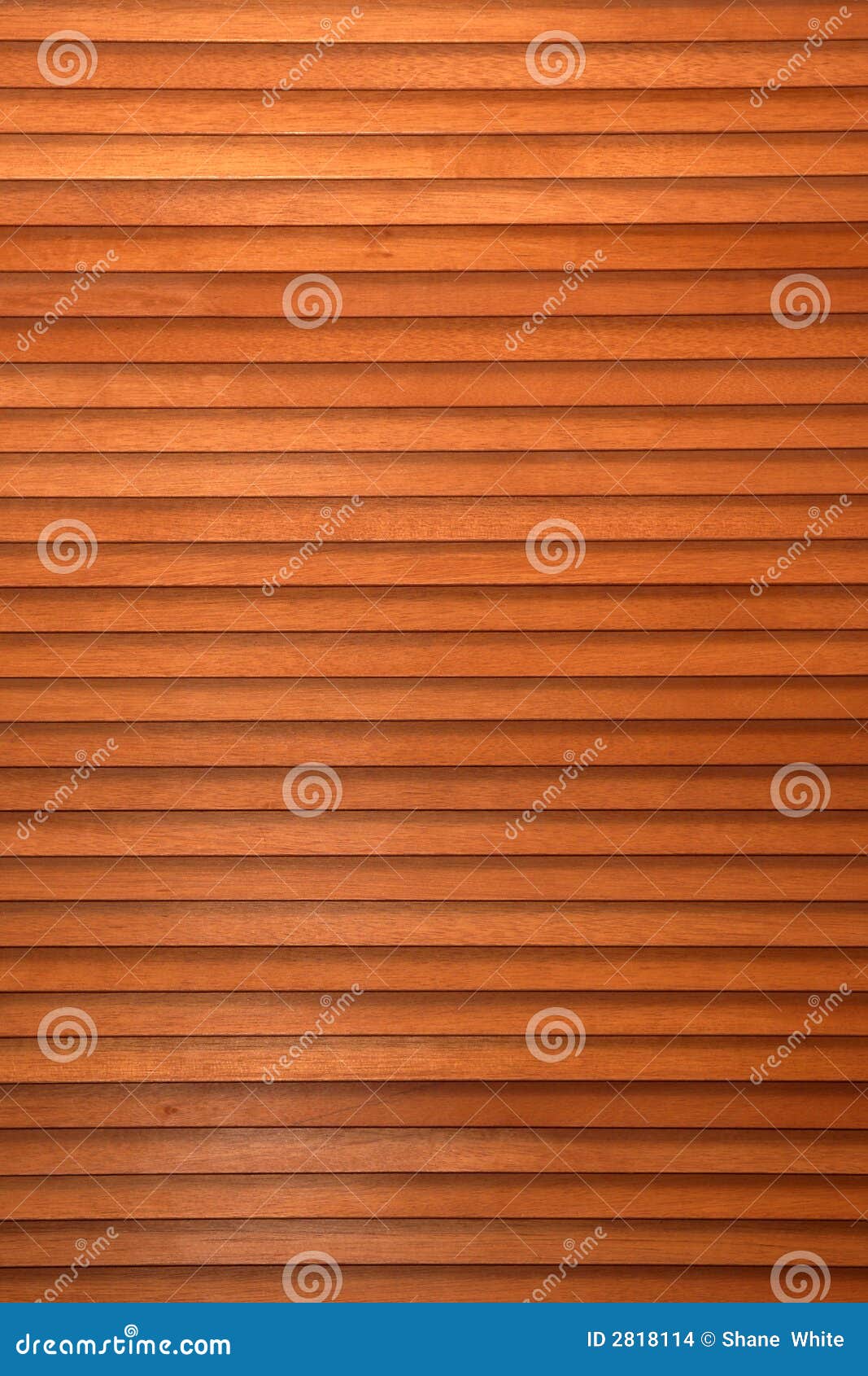 40,448 Blind Background Stock Photos - Free & Royalty-Free Stock Photos ...