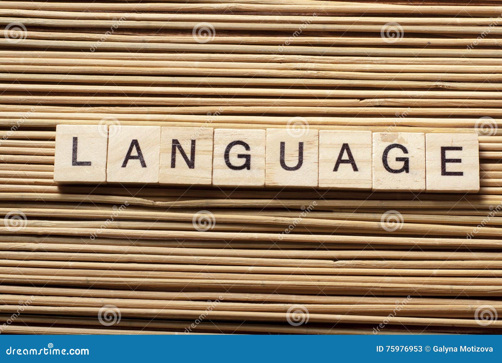 Wooden Blocks with the Text Language. Wood Abc. Stock Image - Image of ...