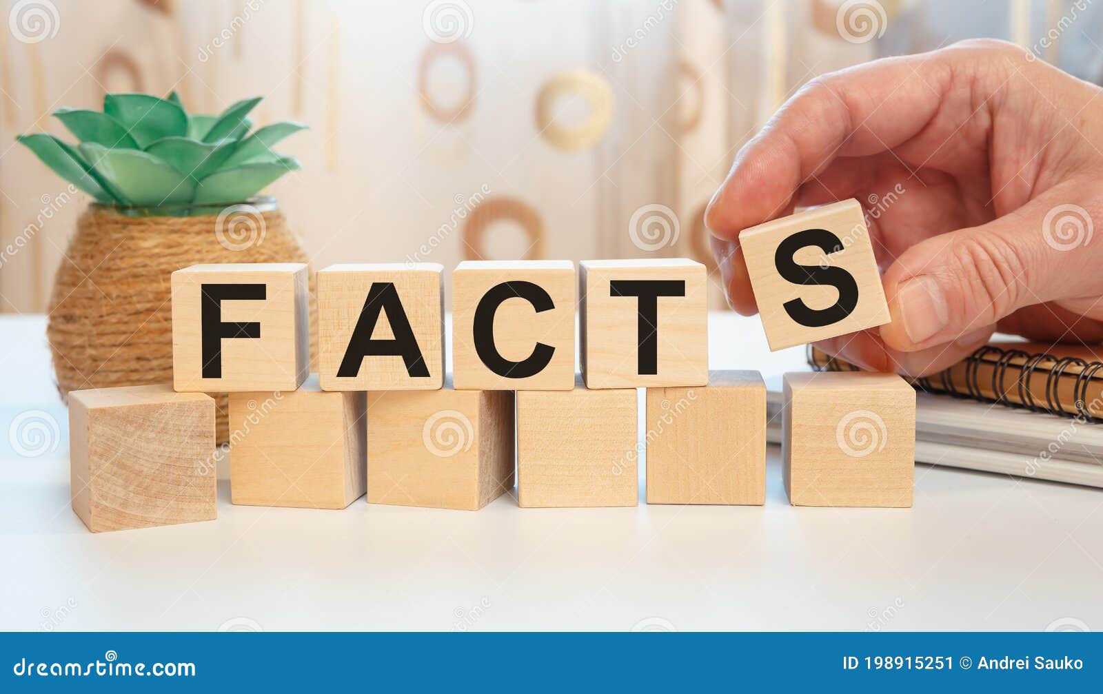 Wooden Blocks with the Word FACTS Stock Image - Image of design, honest ... Wooden Blocks with the Word FACTS Stock Image - Image of design, honest ...