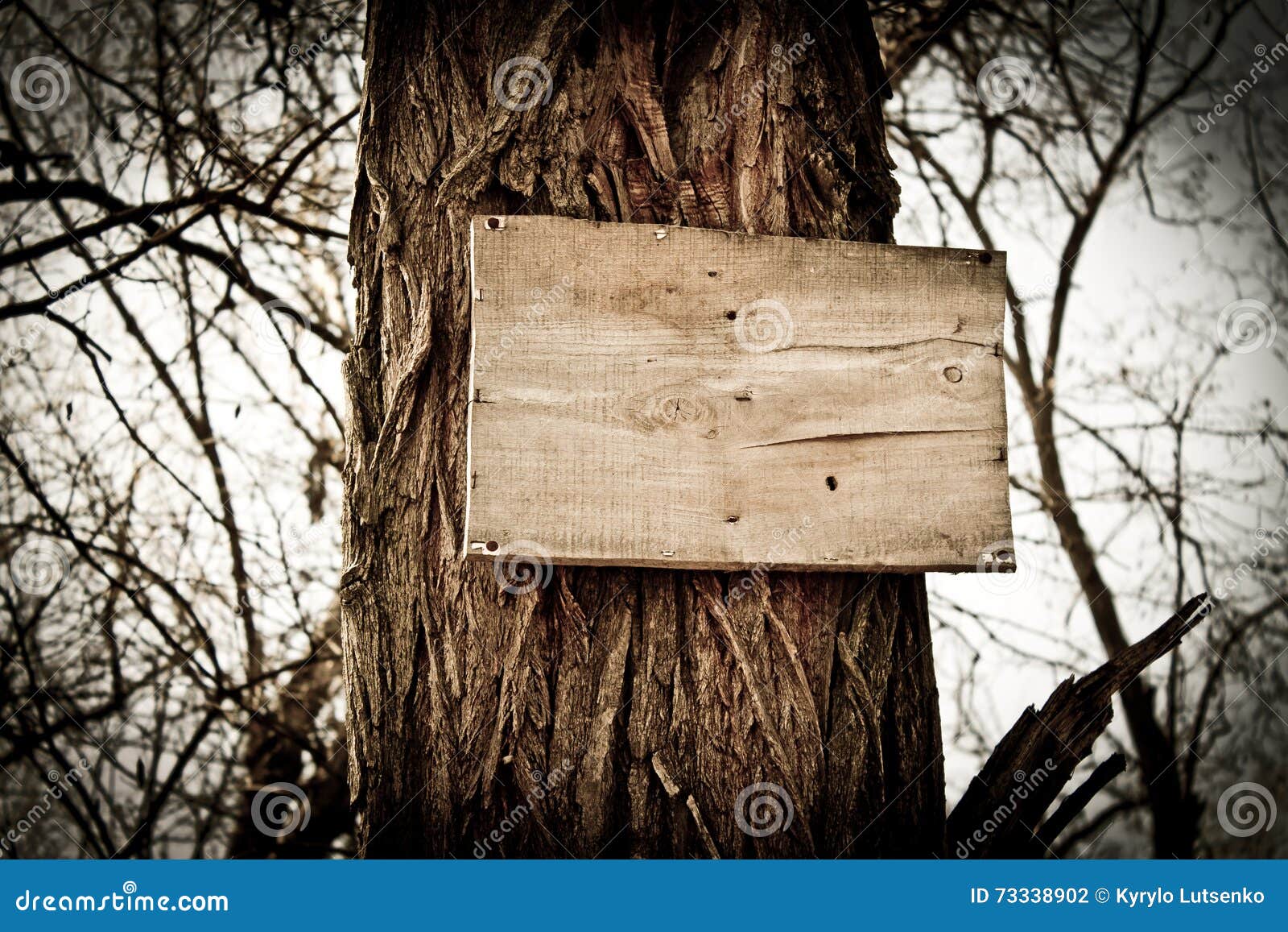 Wooden board stock photo. Image of symbol, concepts, empty - 73338902