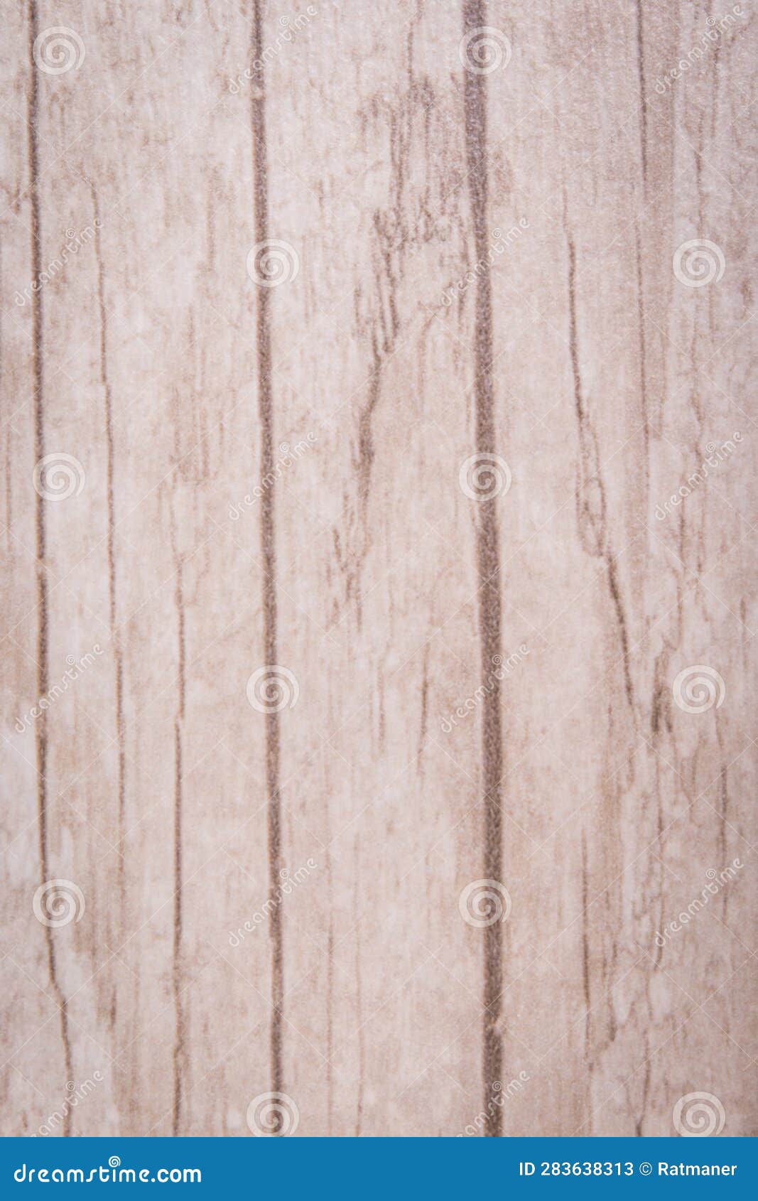 Wooden Board or Plank As Background Texture. Place for Text Stock Image ...
