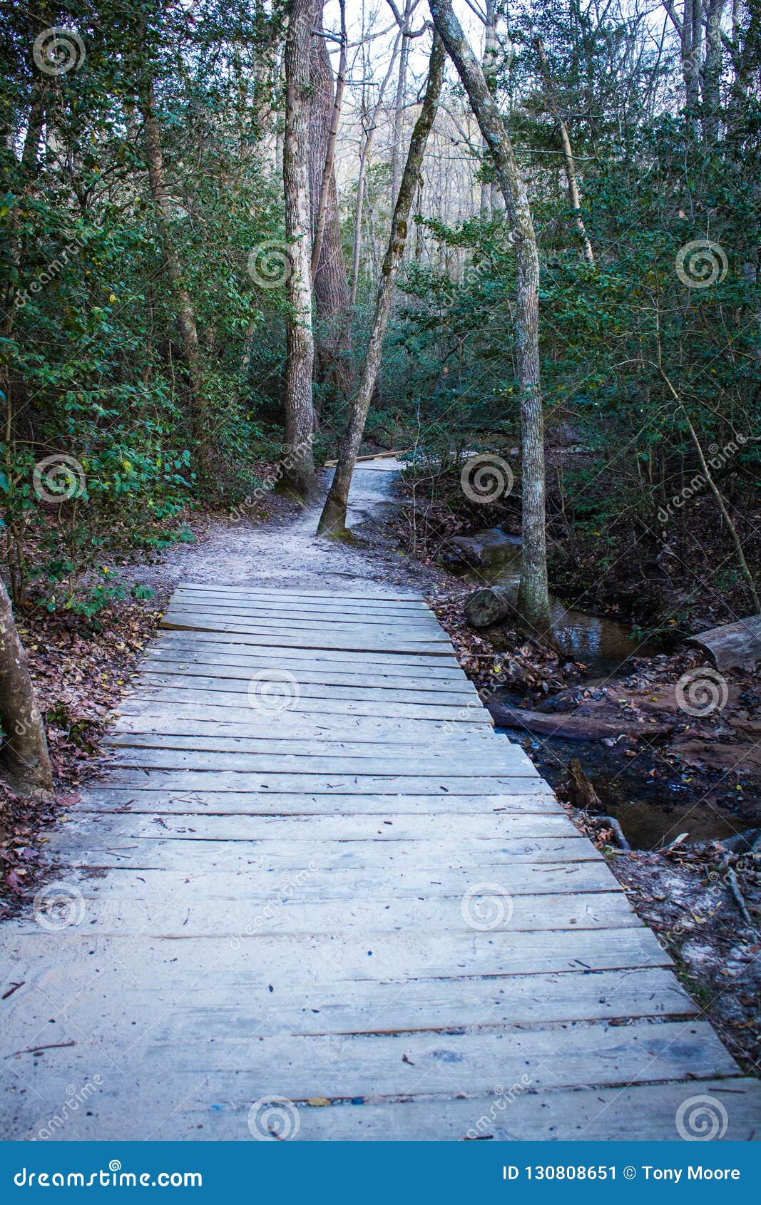 Wooden trail in the Woods stock image. Image of lumber - 130808651