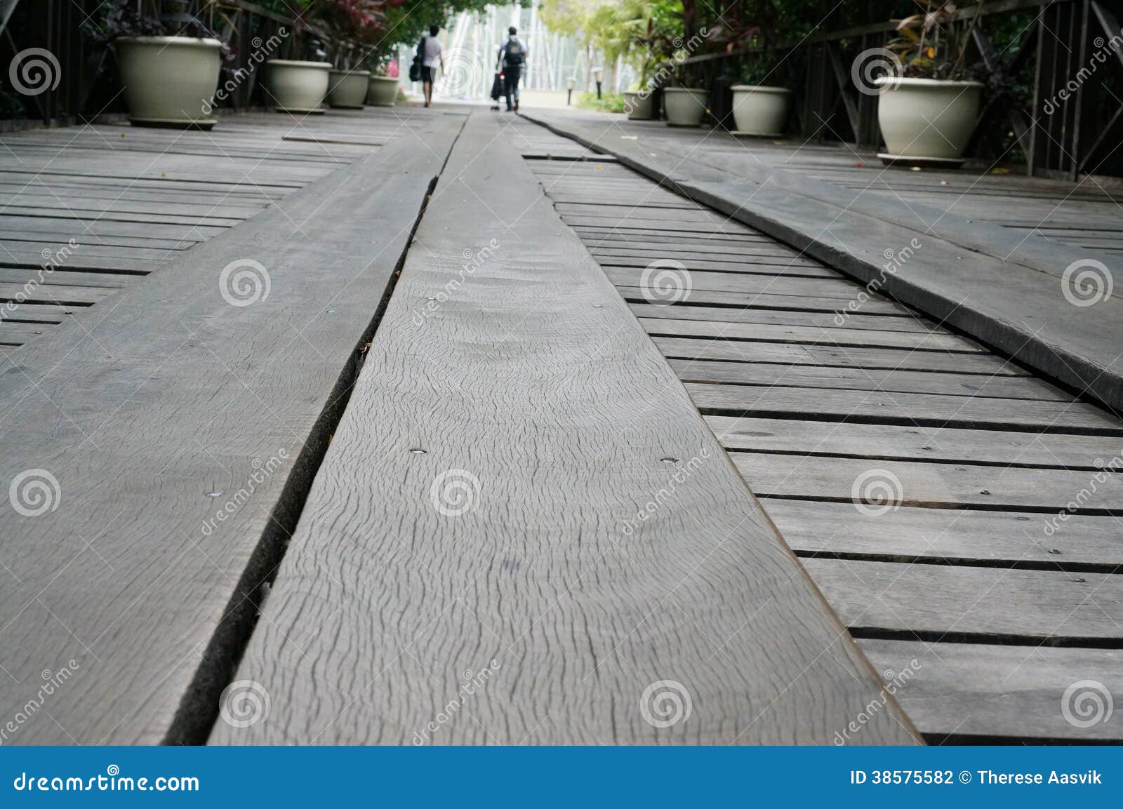 Wooden board walk stock photo. Image of boardwalk, family - 38575582