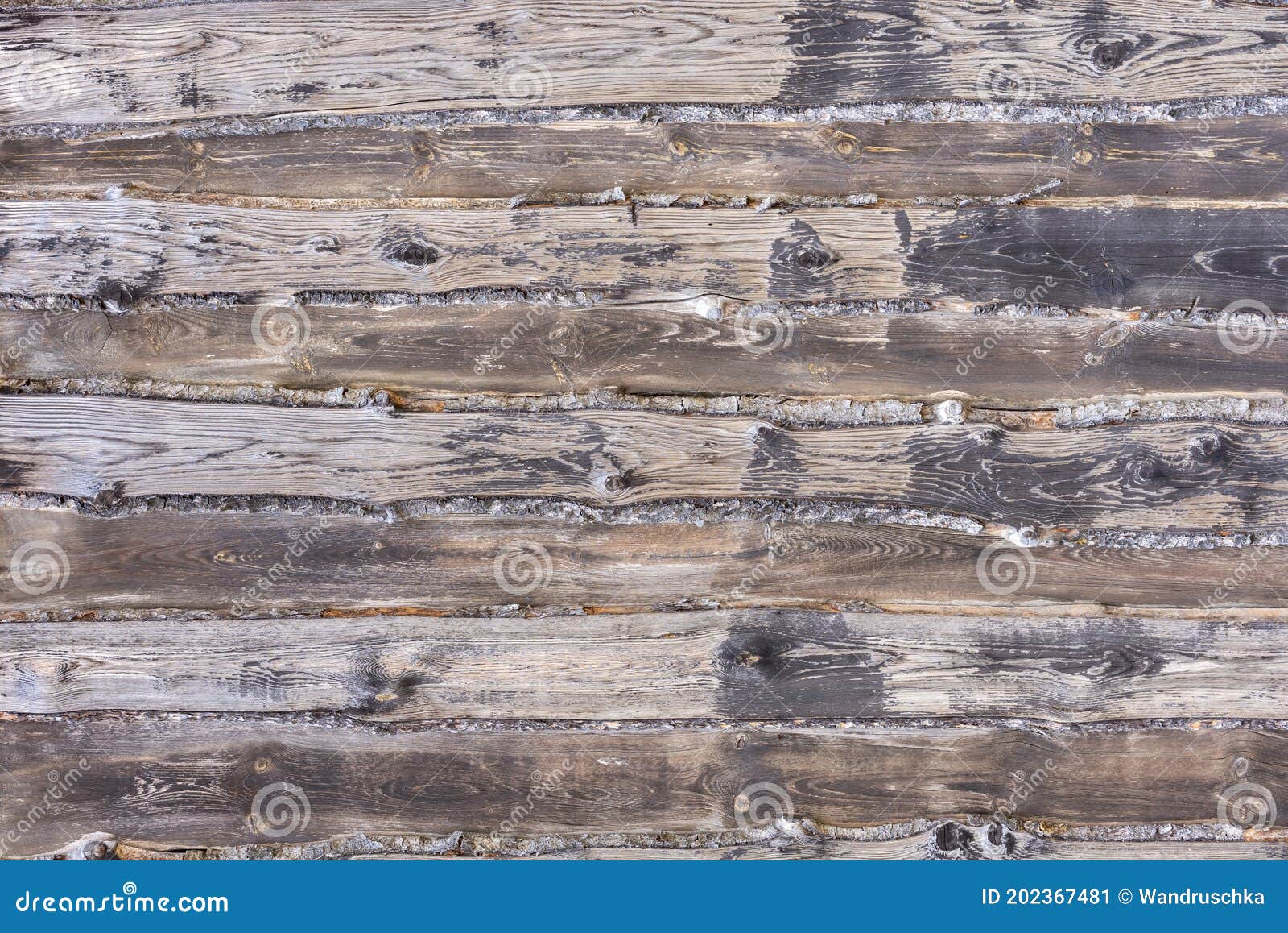 The Nice Structure Royalty-Free Stock Photo | CartoonDealer.com #26570289