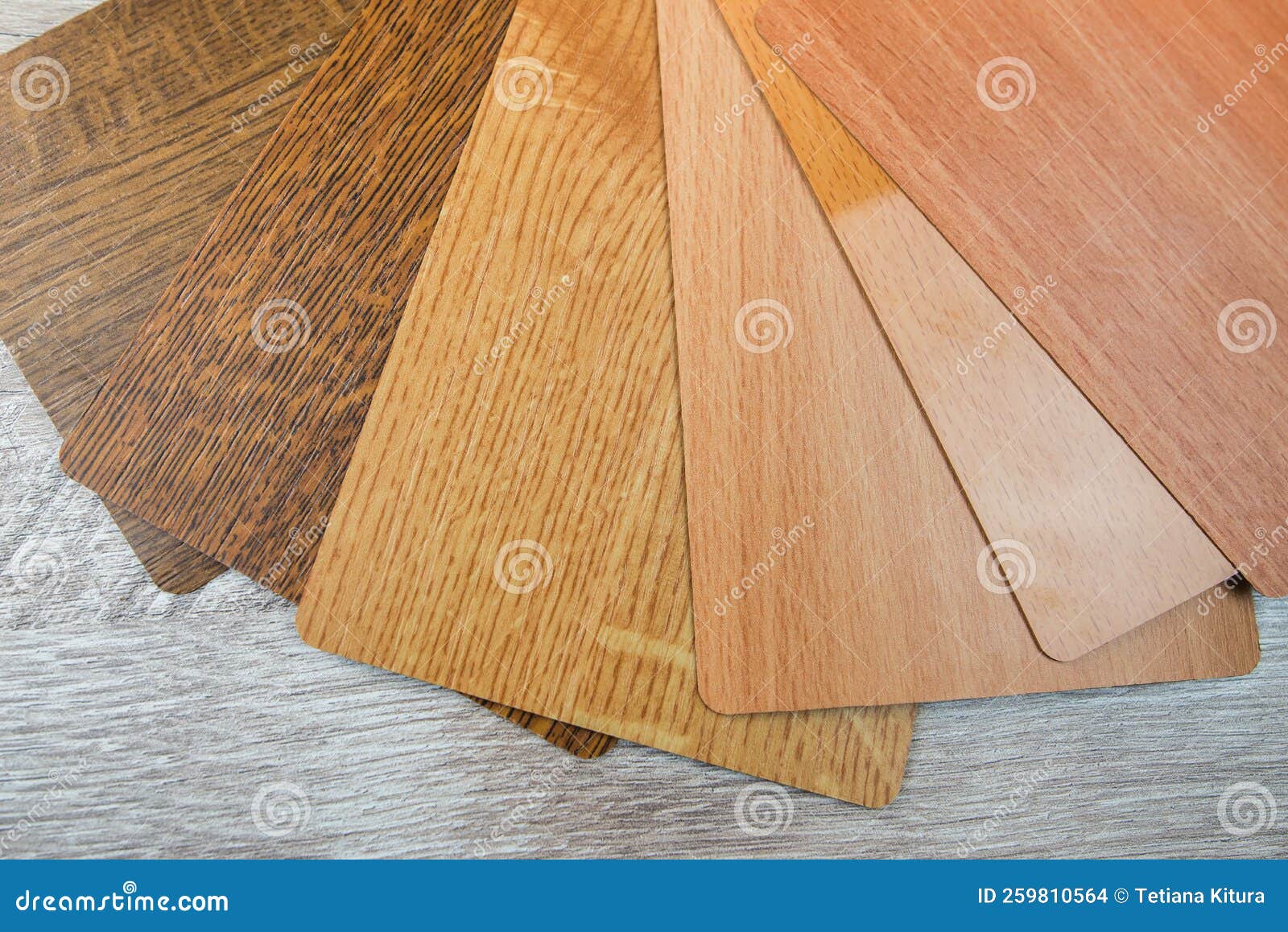 Wooden Boards, Thin Samples, Color Selection Catalog Stock Photo ...