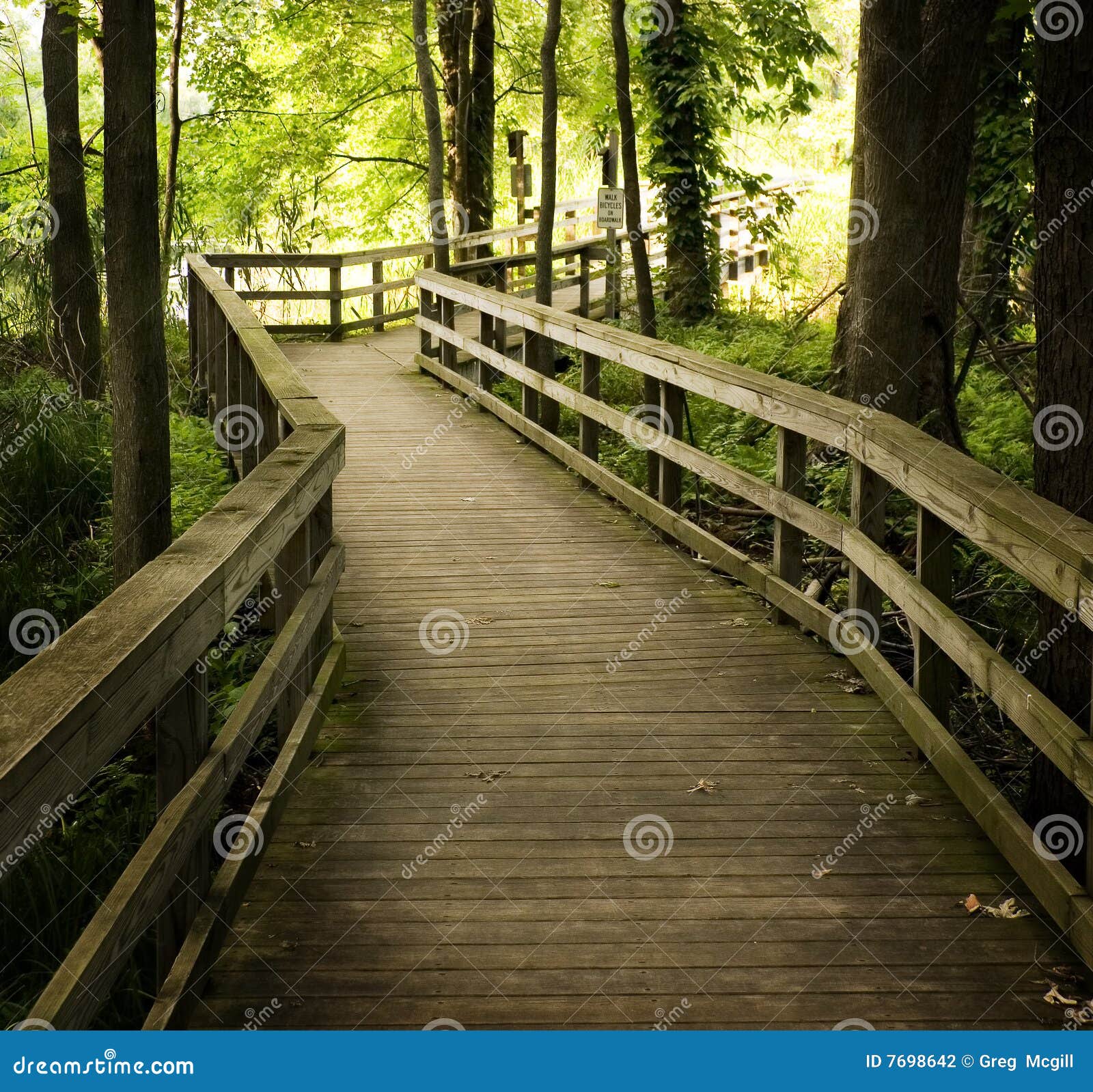 Wooden Boardwalk stock photo. Image of leisure, activity - 7698642