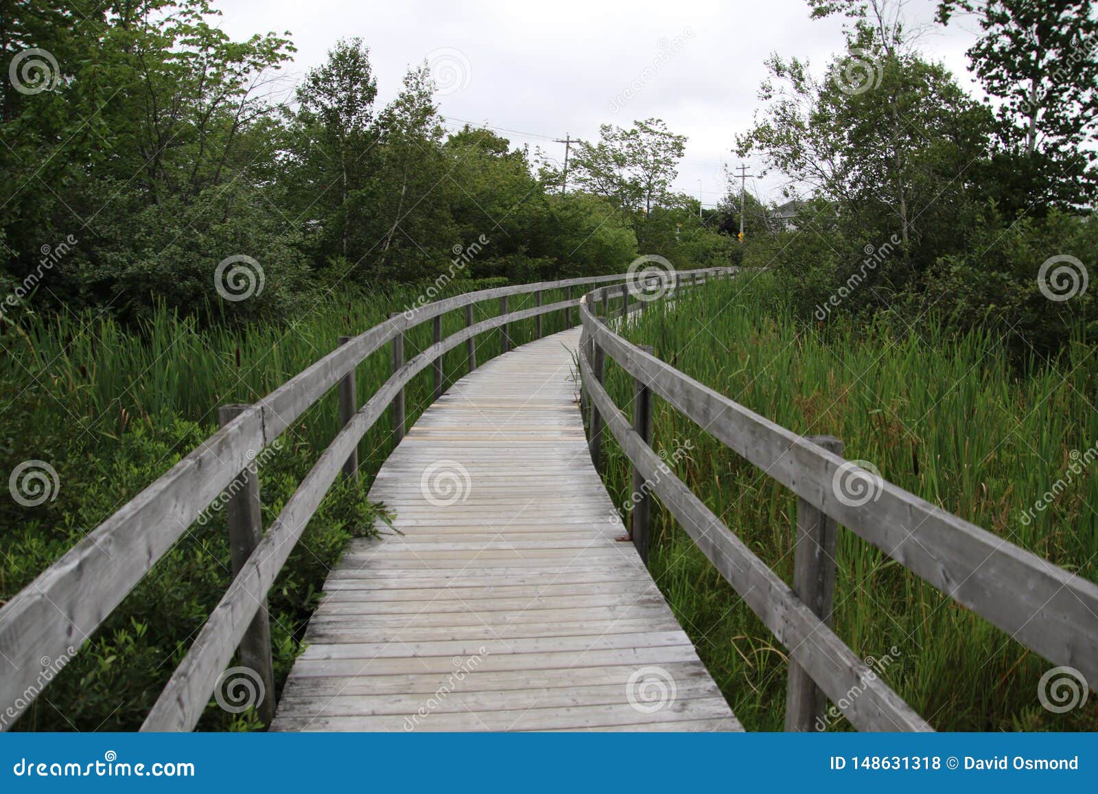 A Wooden Boardwalk with Rails Going through a Field Stock Photo - Image ...