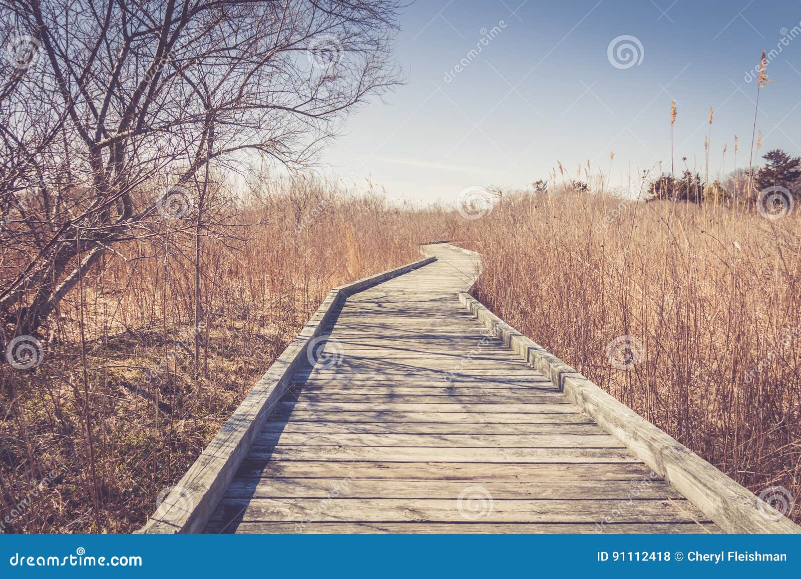 Wooden Boardwalk Walking Path Stock Photo - Image of leading, beautiful ...