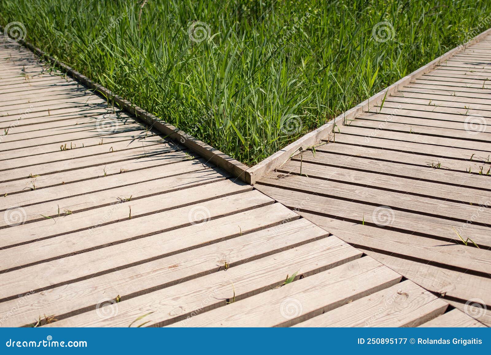 Wooden Boardwalks At Lake Plitvice Royalty-Free Stock Photo ...