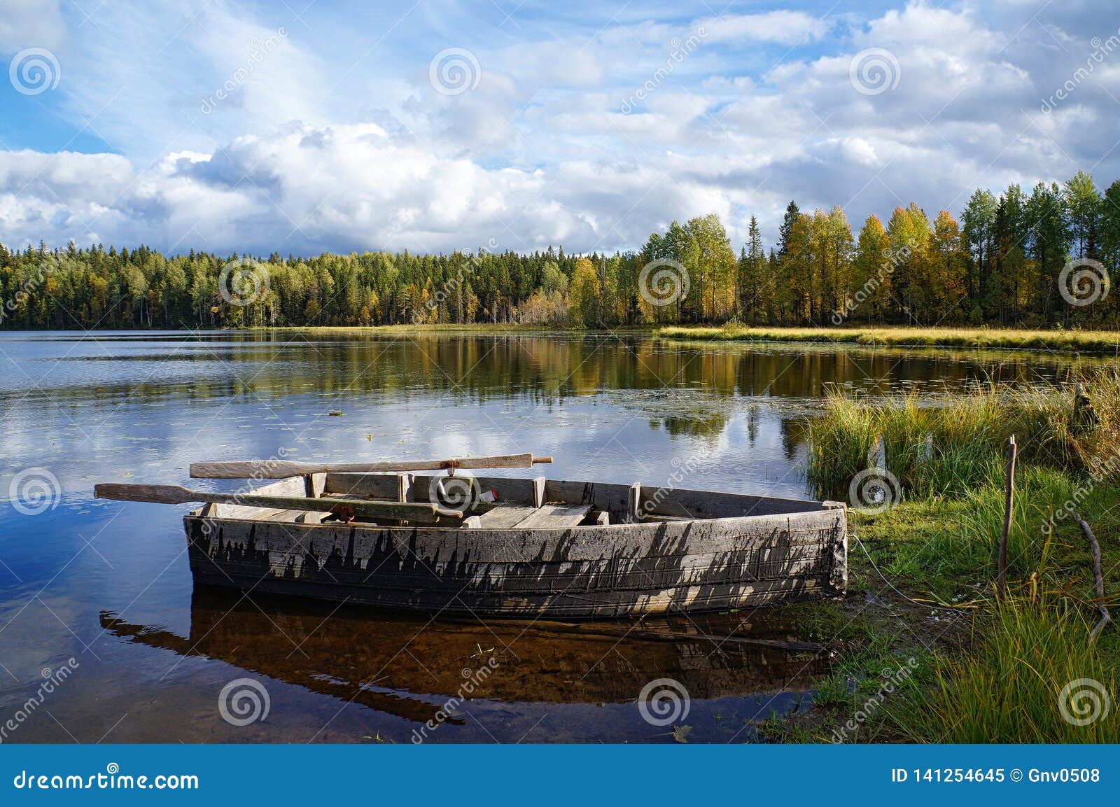 Wooden Boat at the Shore of a Forest Lake Stock Image - Image of boat ...