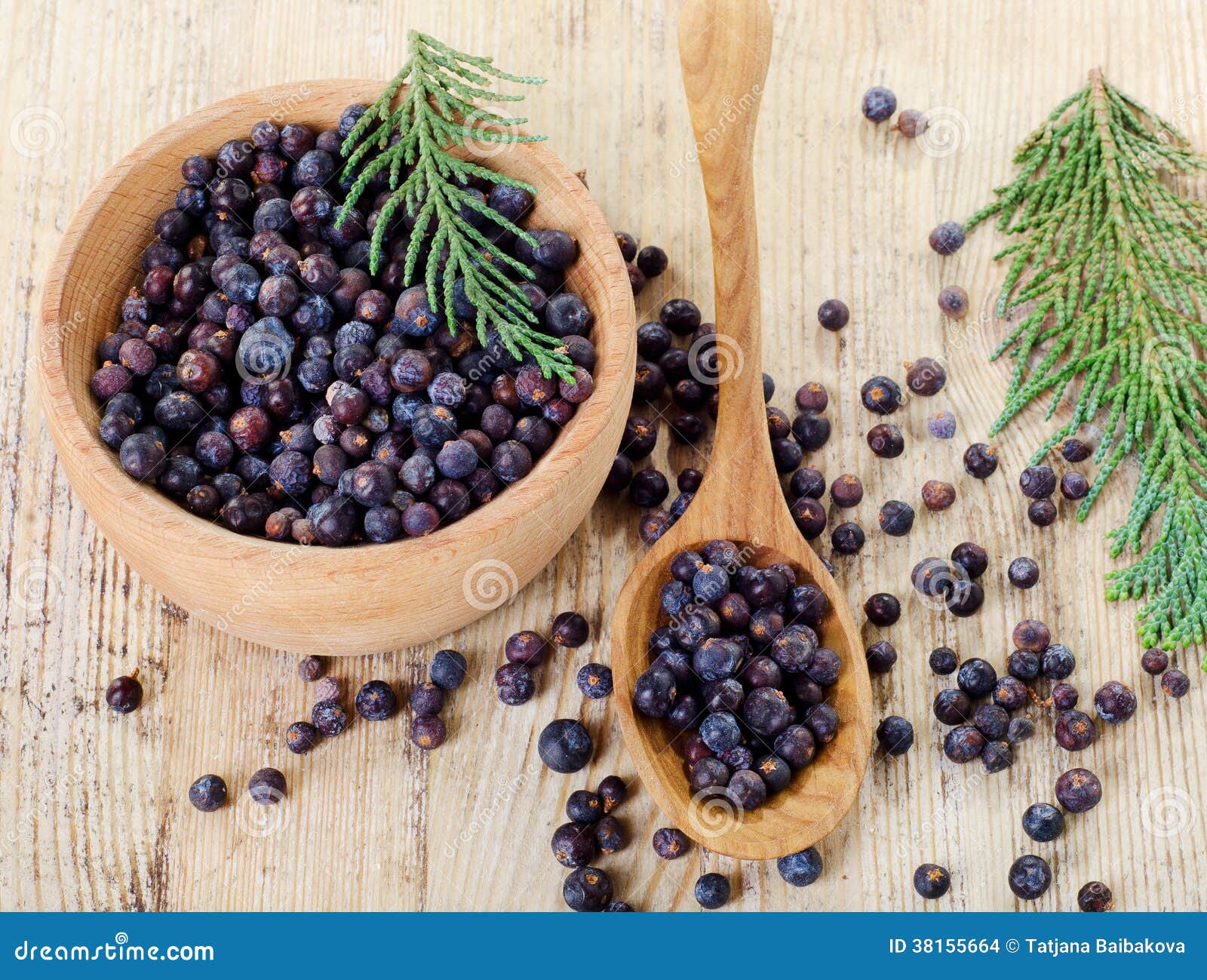Wooden Bowl with Seeds of Juniper Stock Photo - Image of organic ...