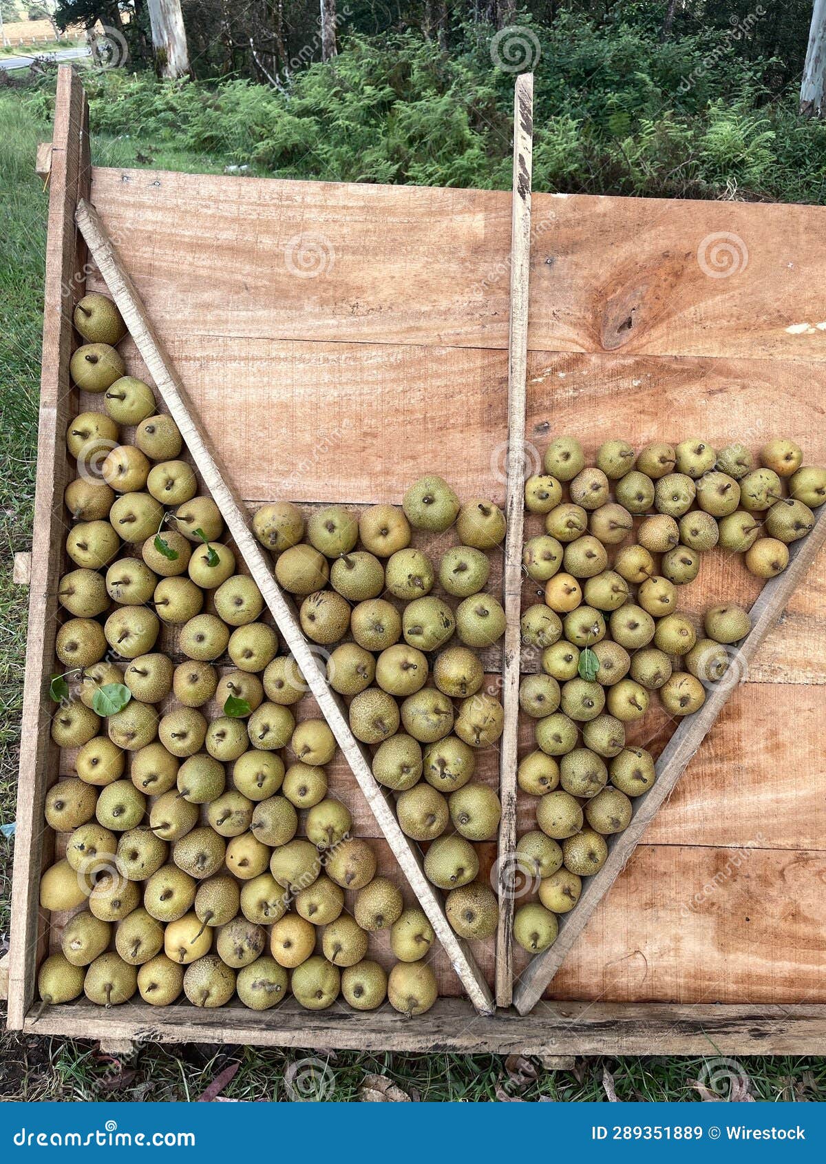 Wooden Box Filled with Bright Red Pears on a Wooden Board in the Grass ...