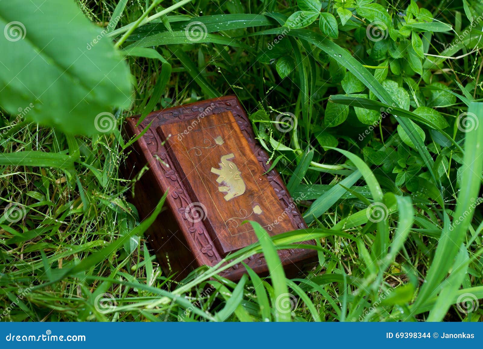 Wooden box in the forest stock photo. Image of green - 69398344