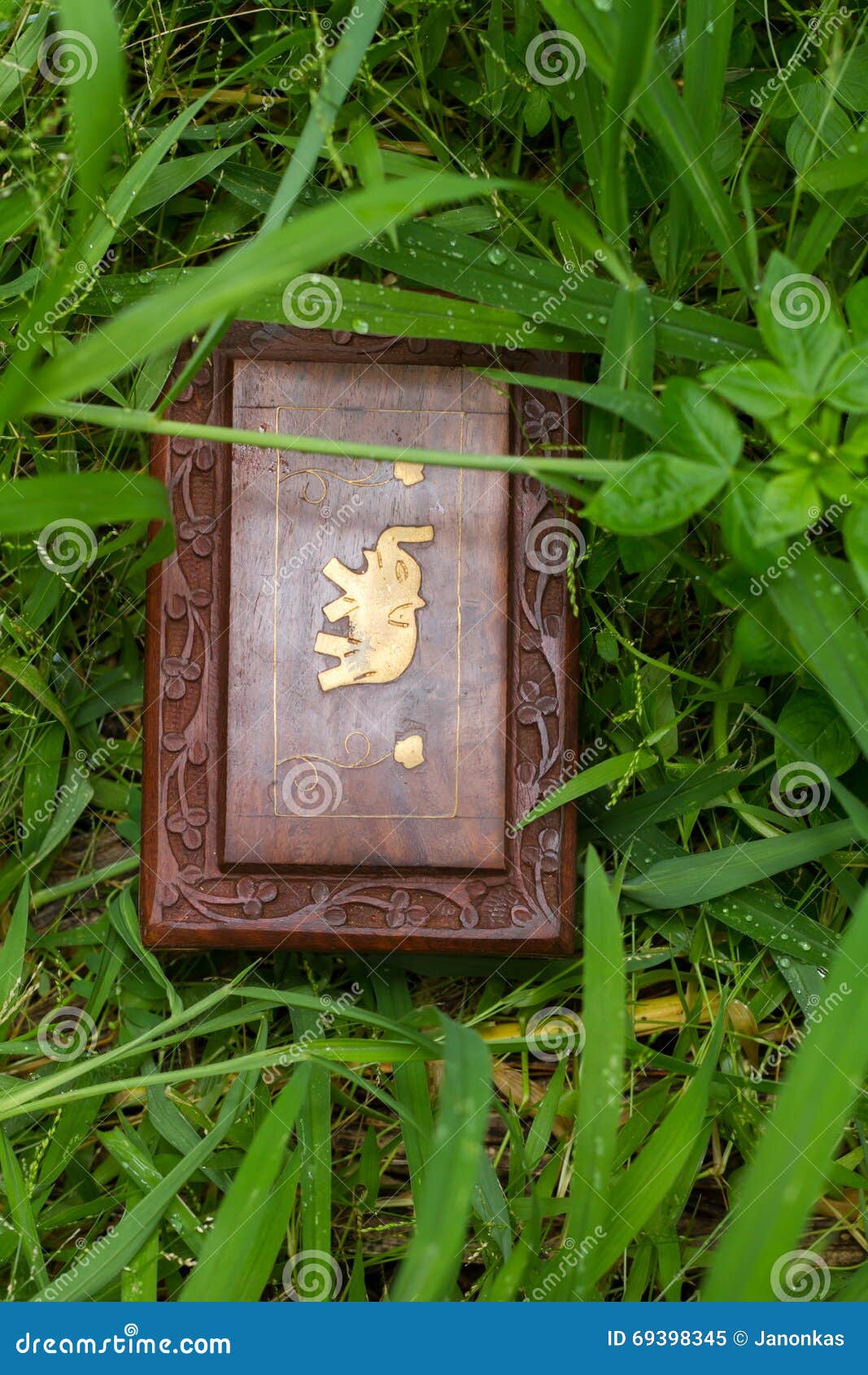 Wooden box in the forest stock image. Image of rusty - 69398345
