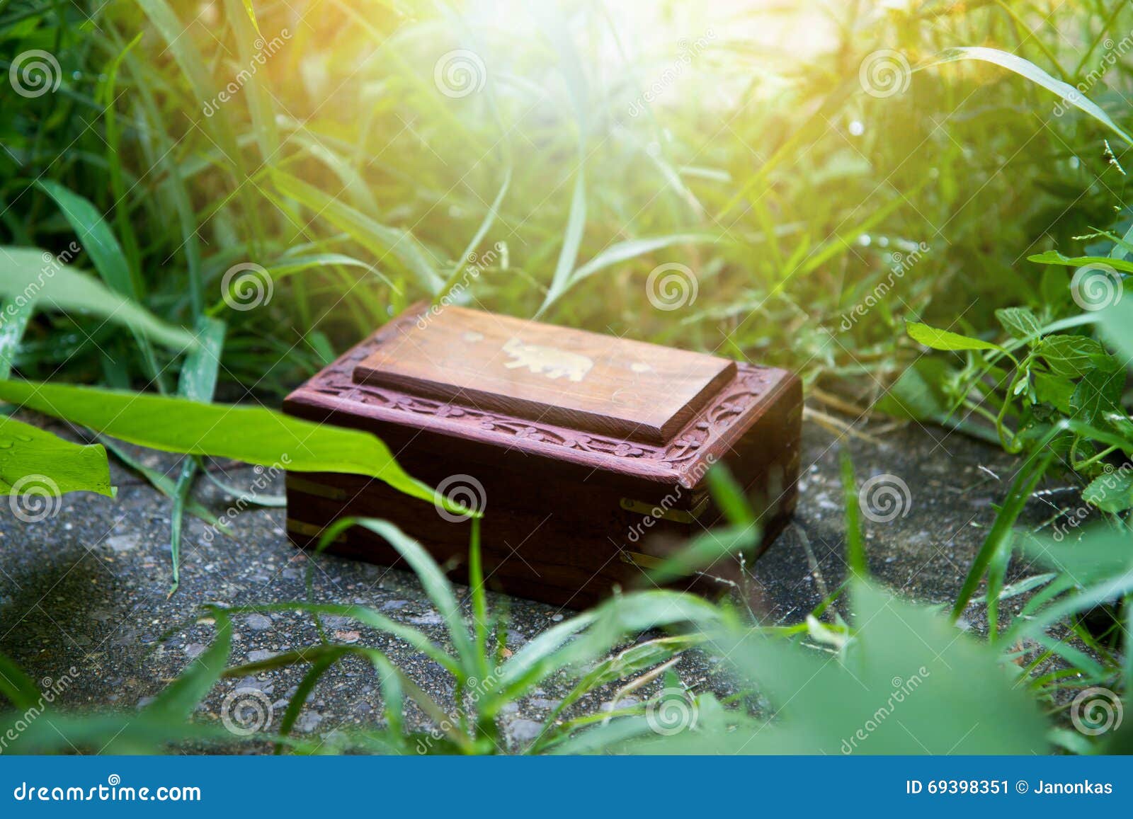 Wooden box in the forest stock image. Image of metal - 69398351