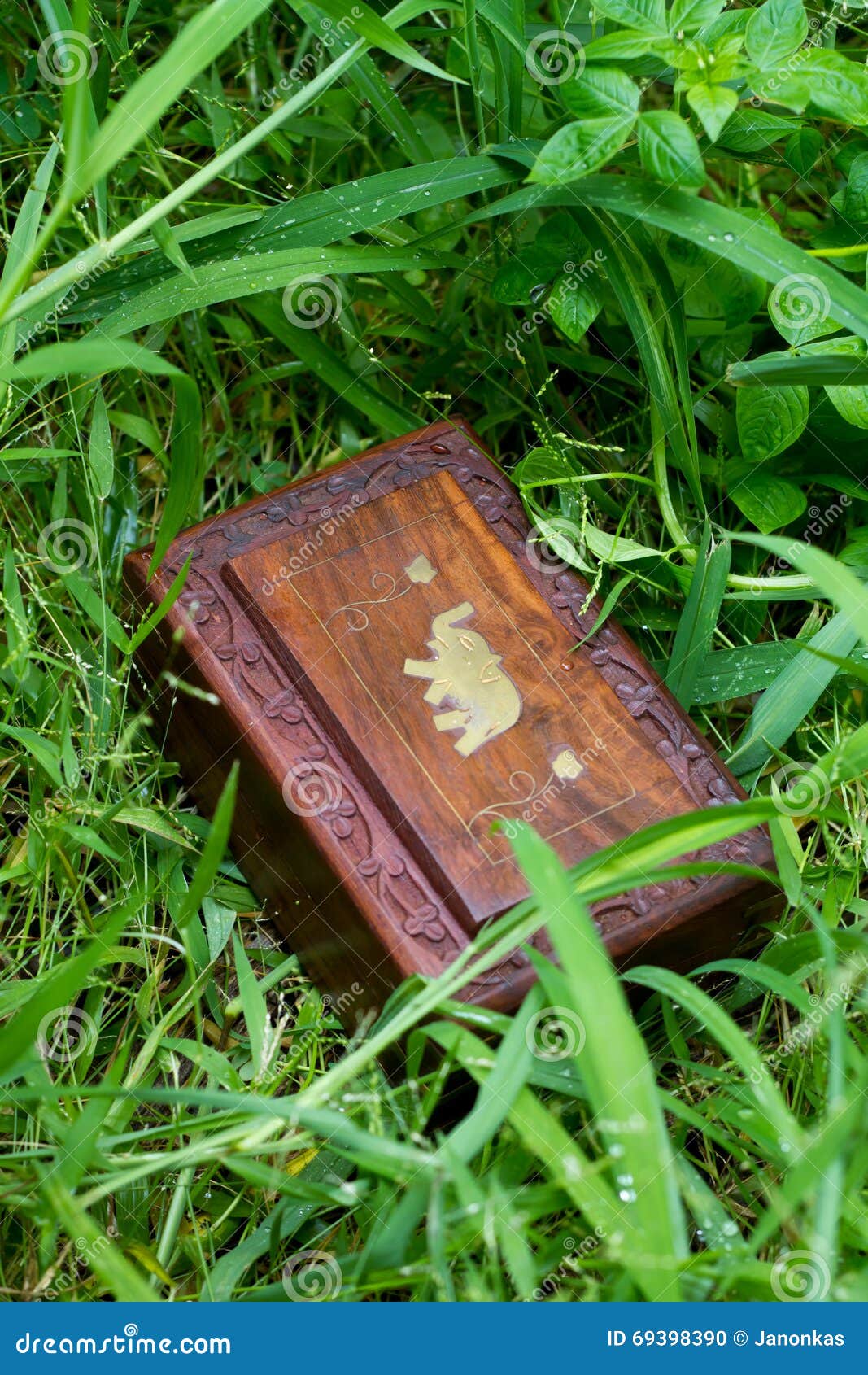 Wooden box in the forest stock photo. Image of secure - 69398390